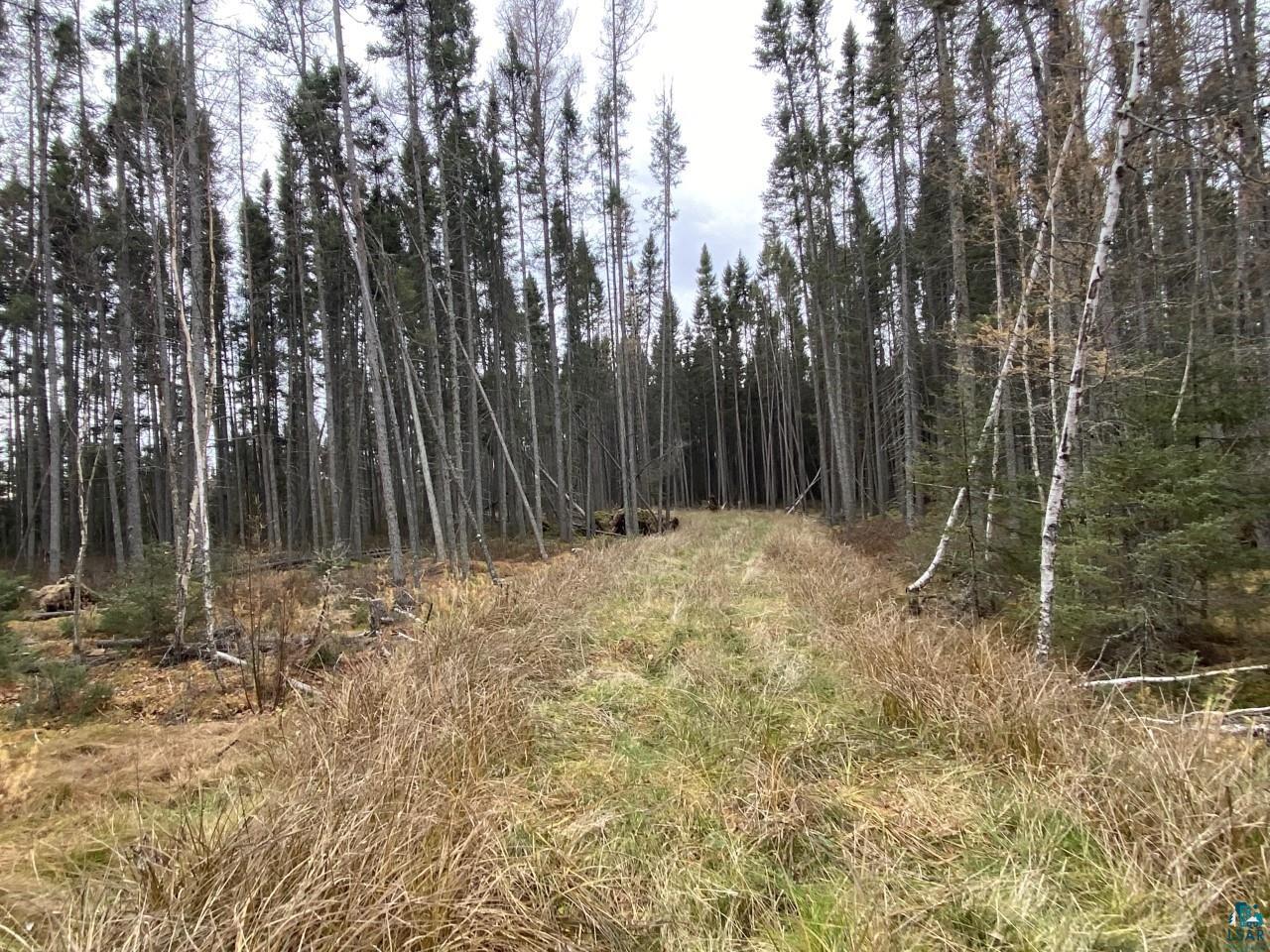 TBD Parcel B North Bear Lake Rd, Ault, MN, 55602 | MLS: 6100837 | Edina ...