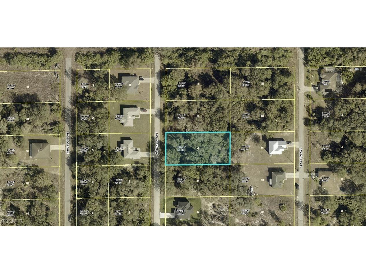 1516 Mckinley Avenue, Lehigh Acres, FL, 33972 | MLS: 2025016393 | Edina ...