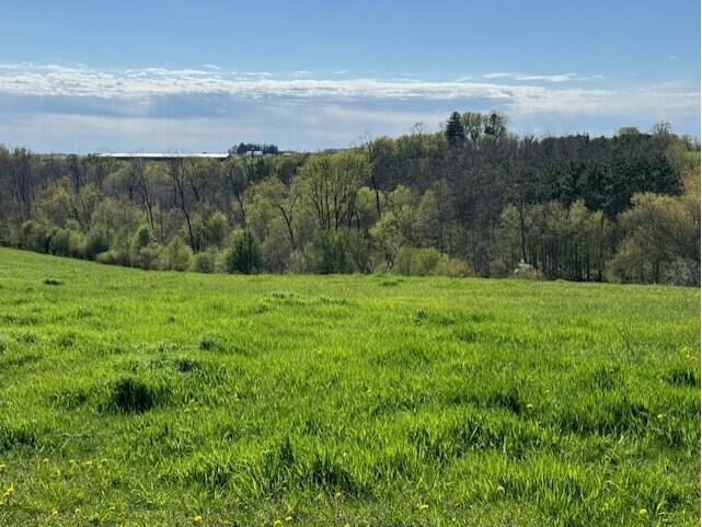 E6098 Kellicut, Coon, WI, 54667 | MLS: 1873933 | Edina Realty