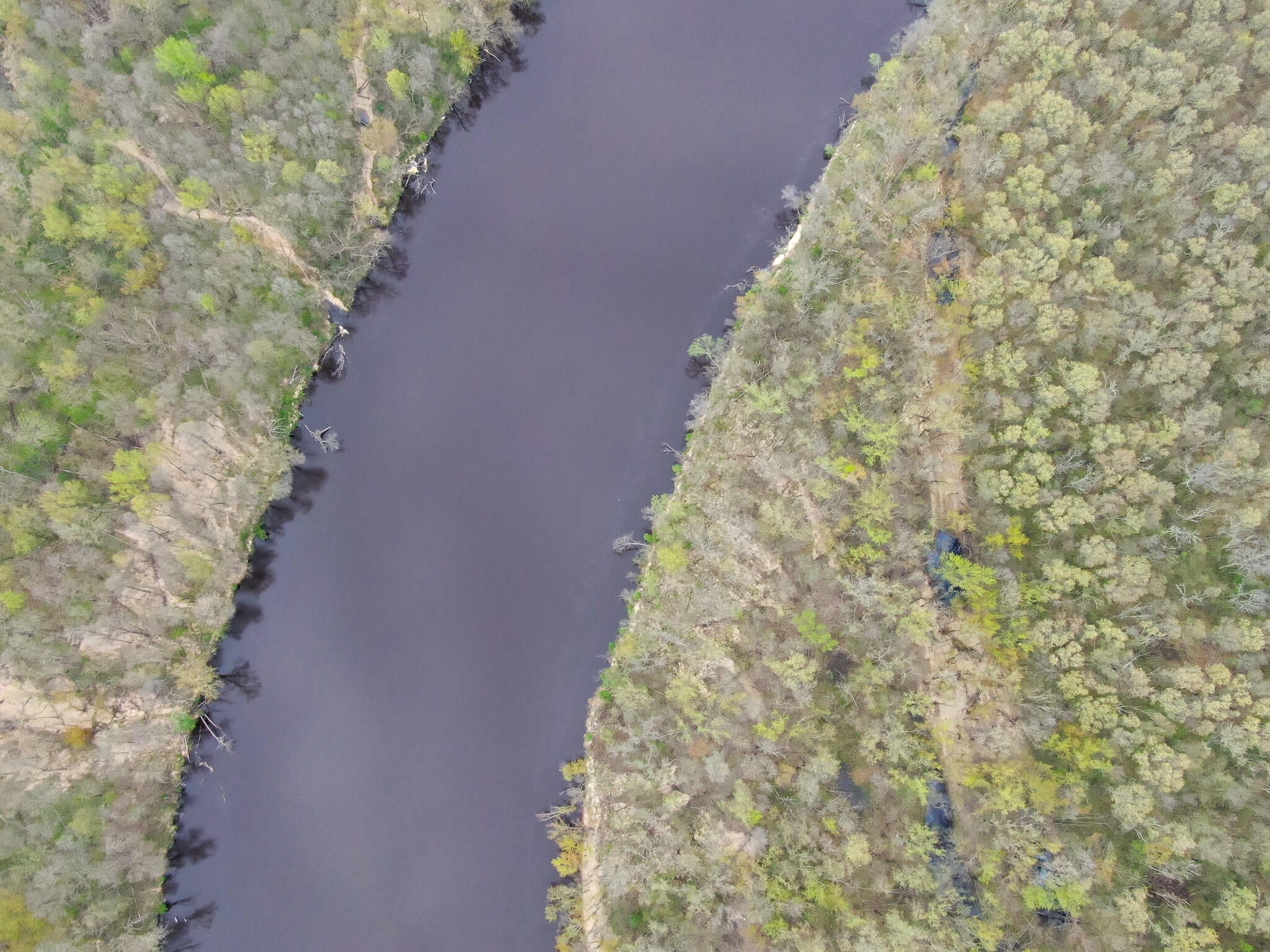 Lot 001 Town of Gale, Gale, WI, 54630 | MLS: 1873629 | Edina Realty