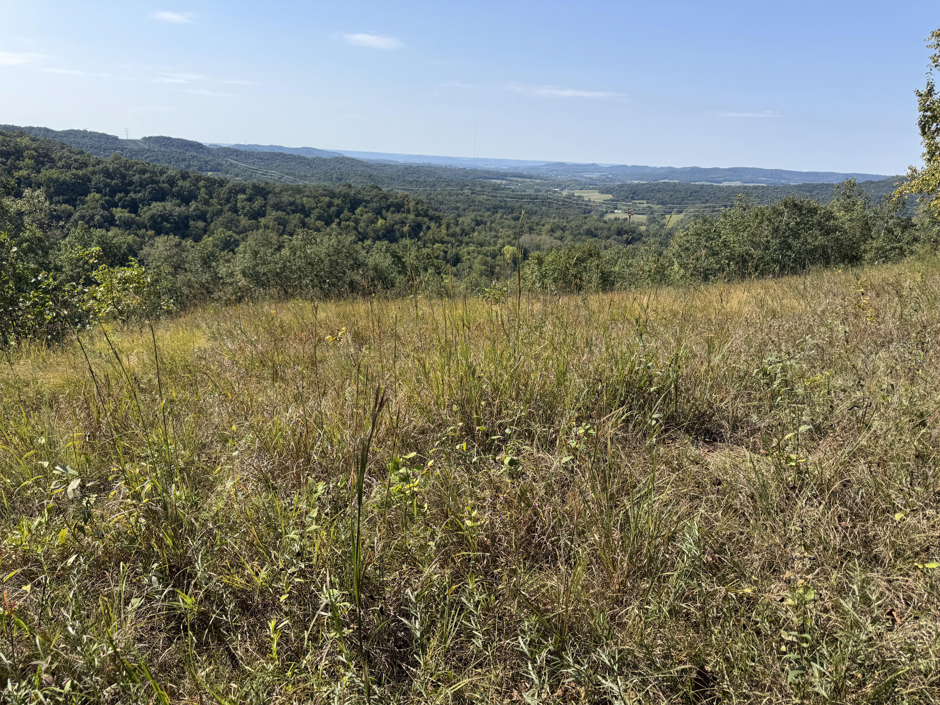 N20545 County Rd DD, Ettrick, WI, 54627 | MLS: 1935108 | Edina Realty