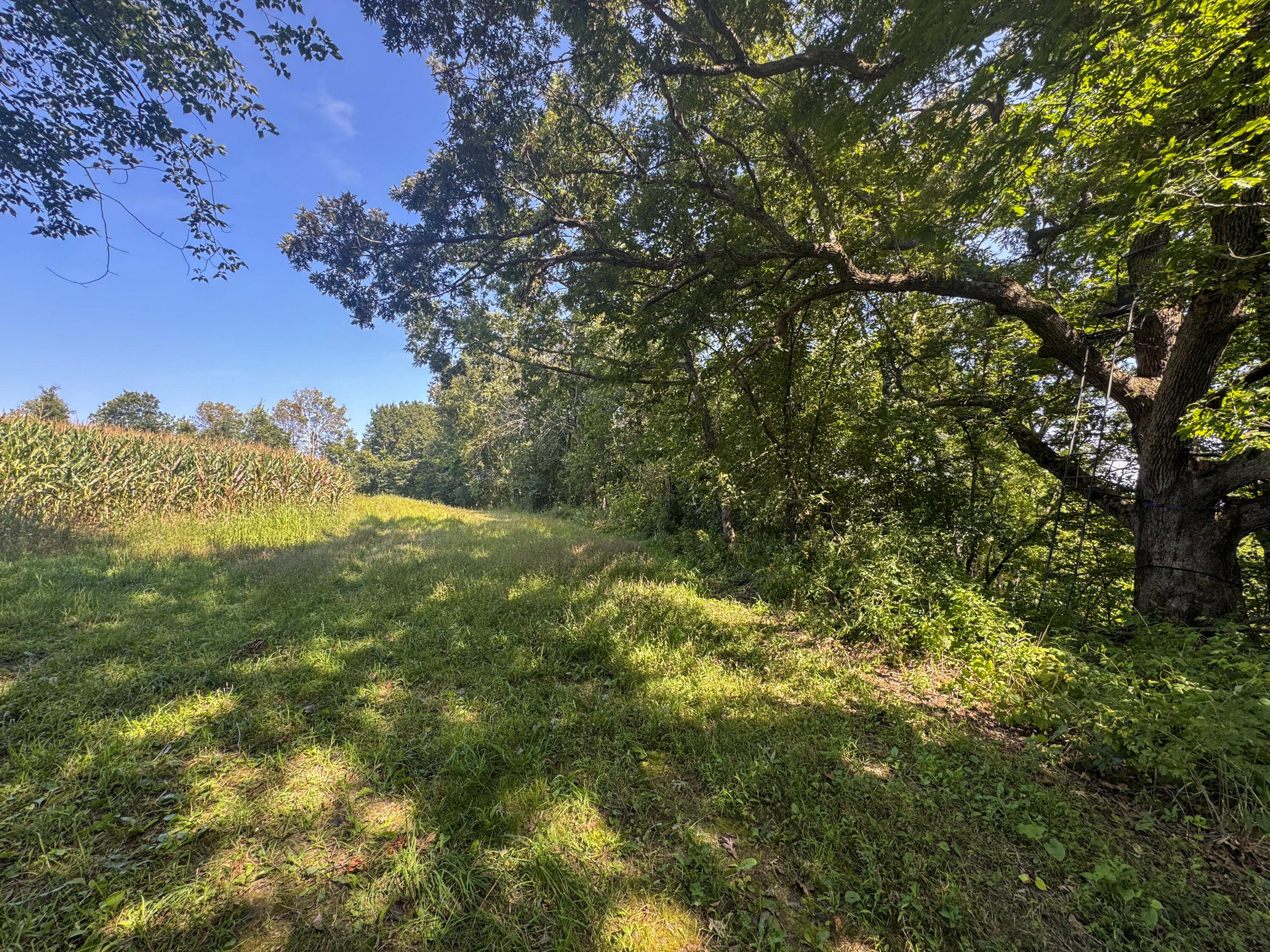 N20545 County Rd DD, Ettrick, WI, 54627 | MLS: 1935108 | Edina Realty