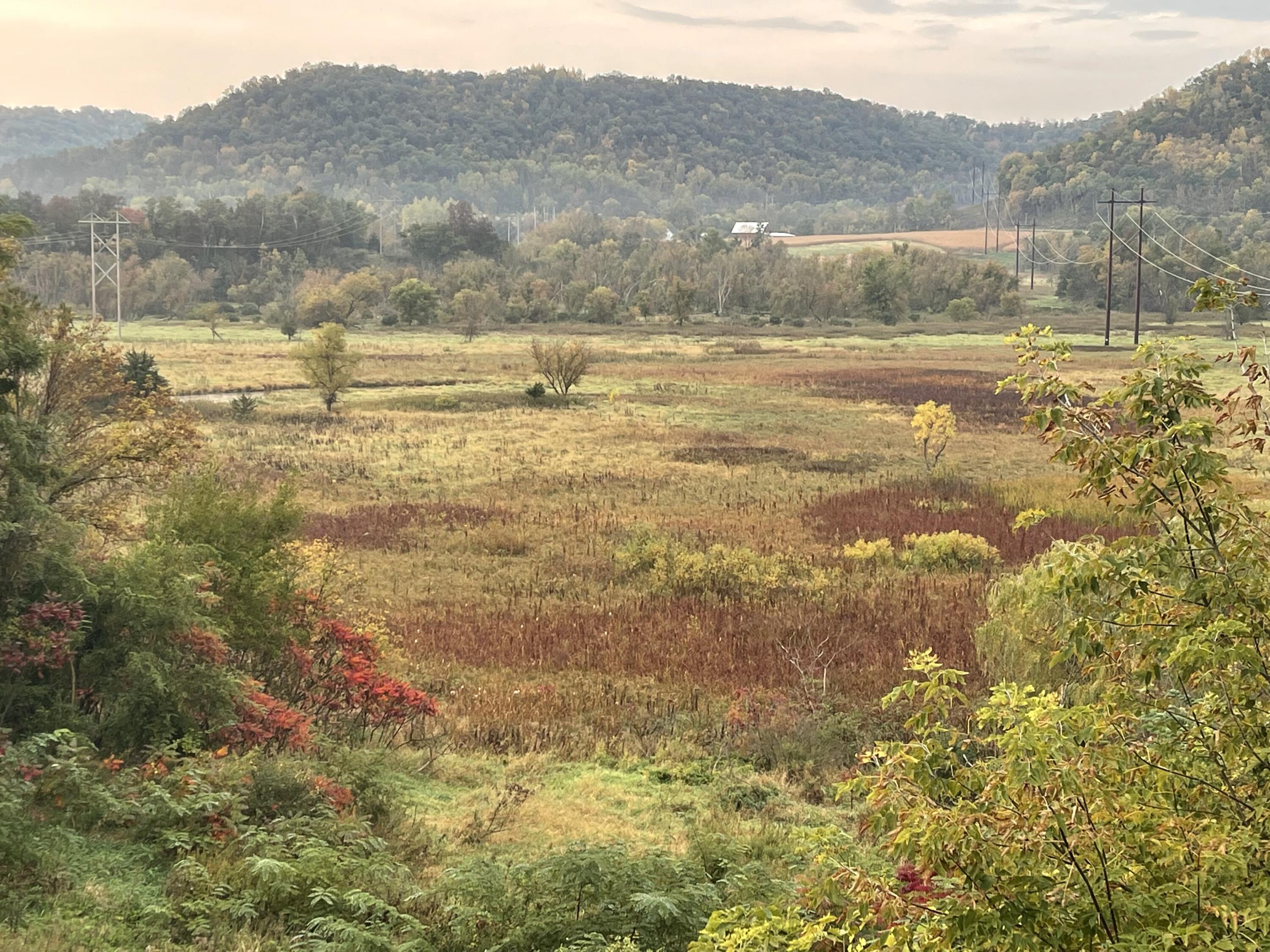 W987 Cedar Valley, Bergen, WI, 54658 | MLS: 1882527 | Edina Realty