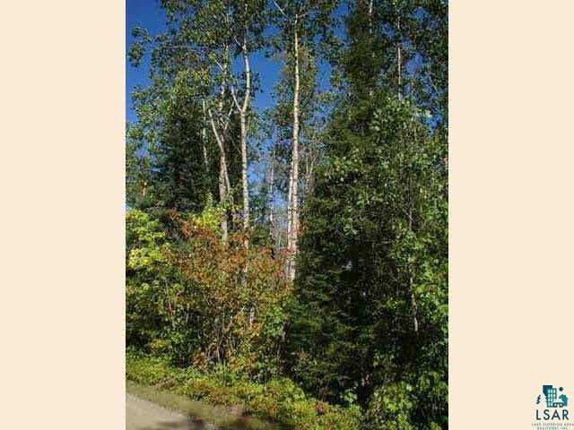 , Ely, MN, 55731 | MLS: 2312044 | Edina Realty