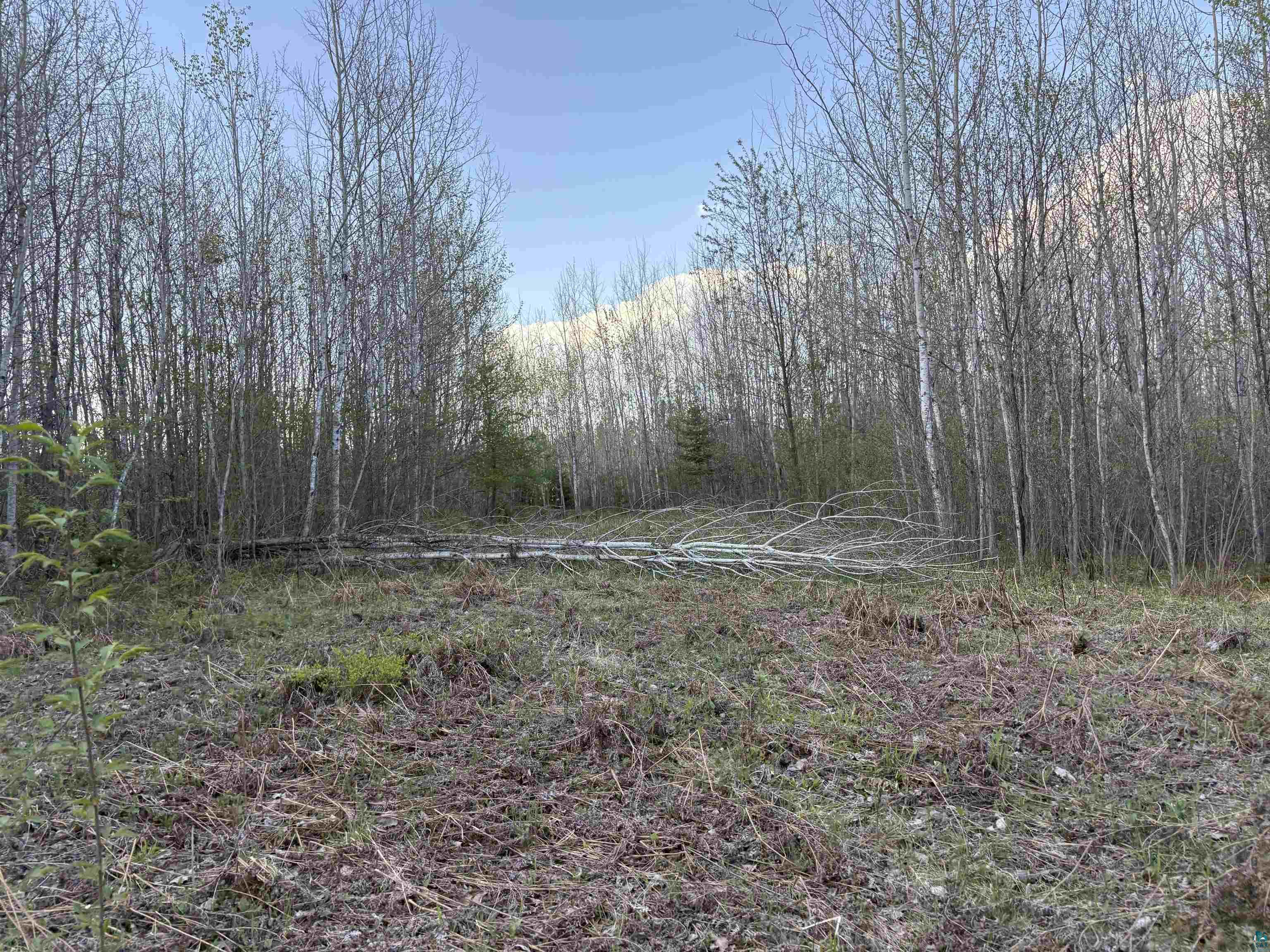 0000 Mertig Rd, Glidden, WI, 54527 | MLS: 6119137 | Edina Realty