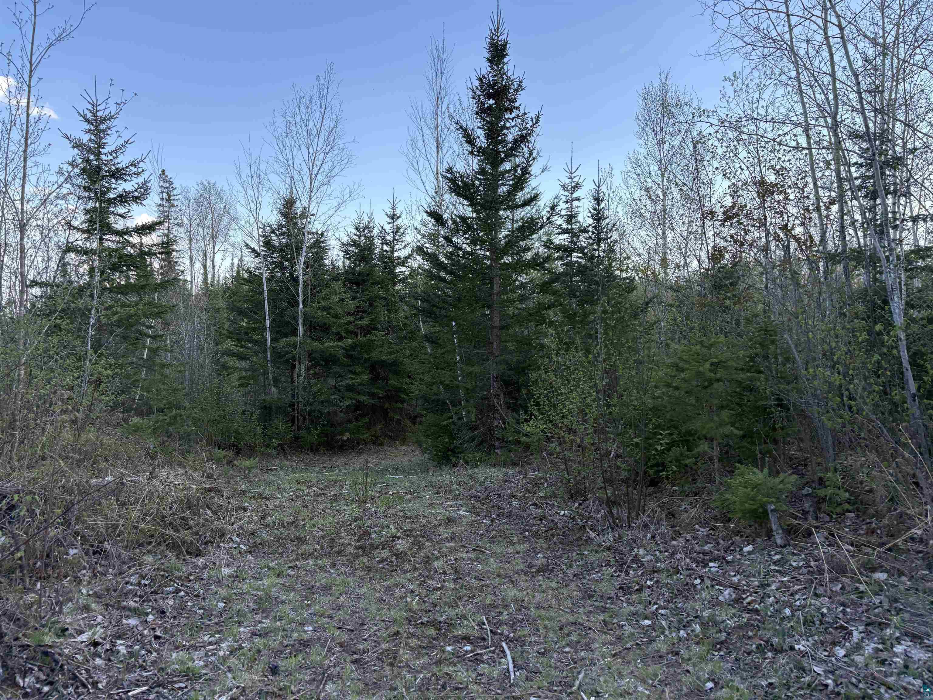 0000 Mertig Rd, Glidden, WI, 54527 | MLS: 6119137 | Edina Realty