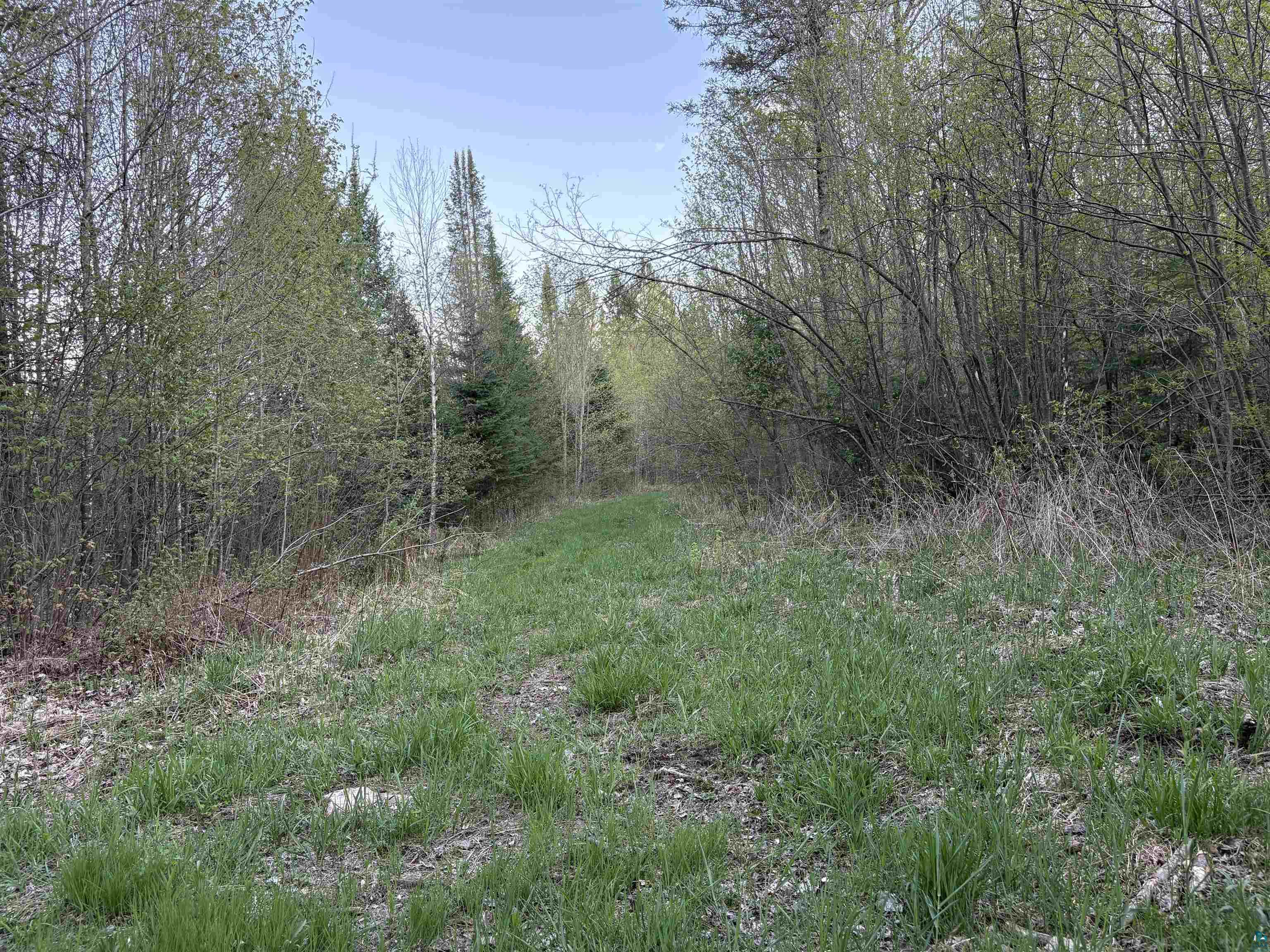 0000 Mertig Rd, Glidden, WI, 54527 | MLS: 6119137 | Edina Realty