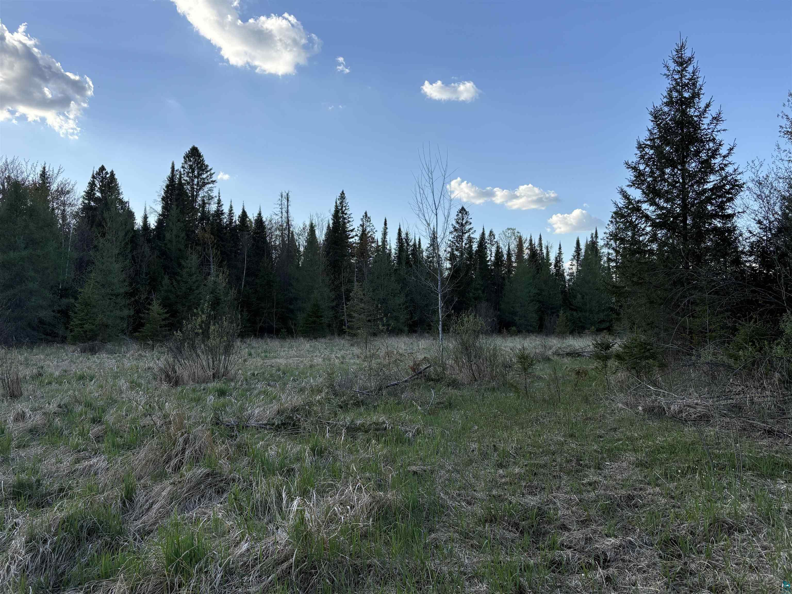 0000 Mertig Rd, Glidden, WI, 54527 | MLS: 6119137 | Edina Realty