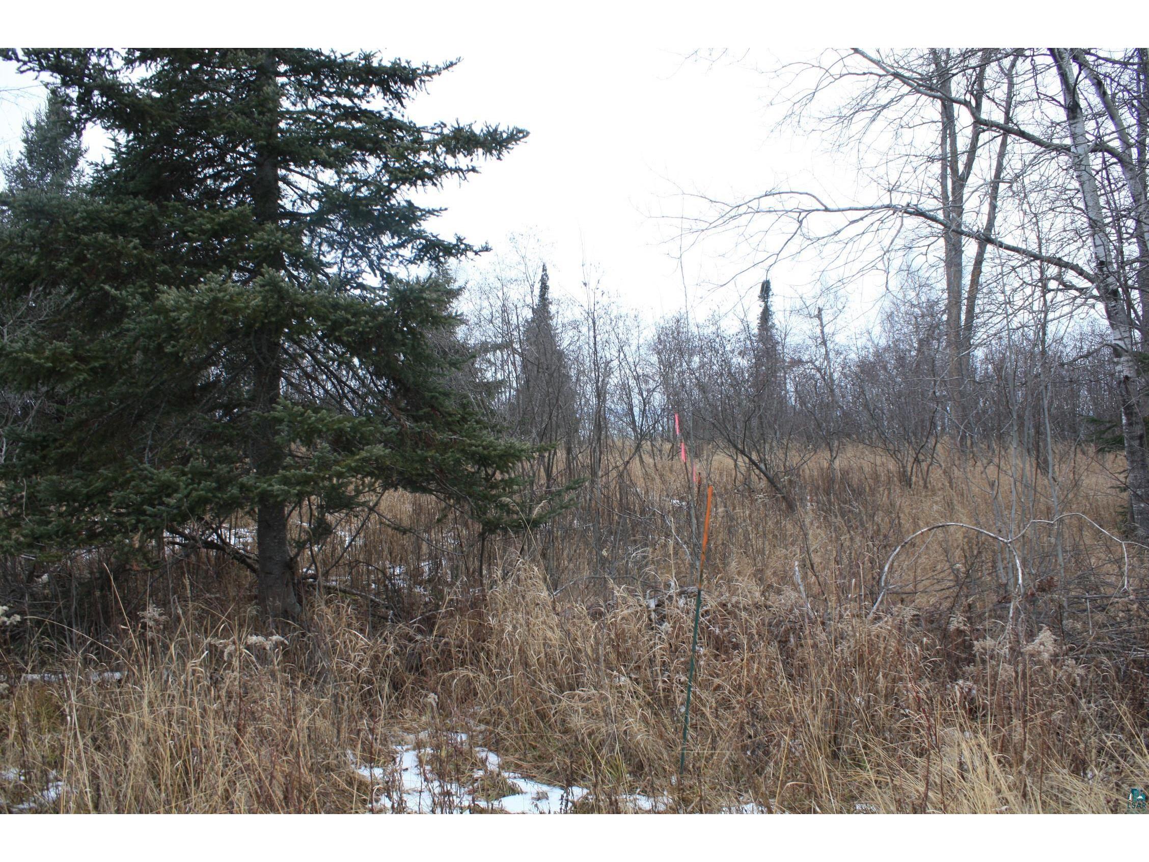 104XX S DeVries Rd, Poplar, WI, 54864 | MLS: 6117299 | Edina Realty