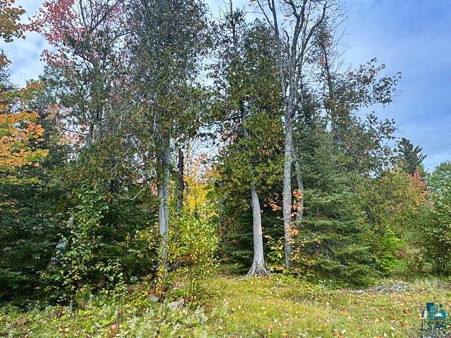 1541 Camp 20 Rd, Hovland, MN, 55606 | MLS: 6122481 | Edina Realty