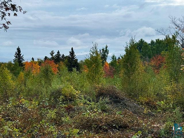 1541 Camp 20 Rd, Hovland, MN, 55606 | MLS: 6122481 | Edina Realty