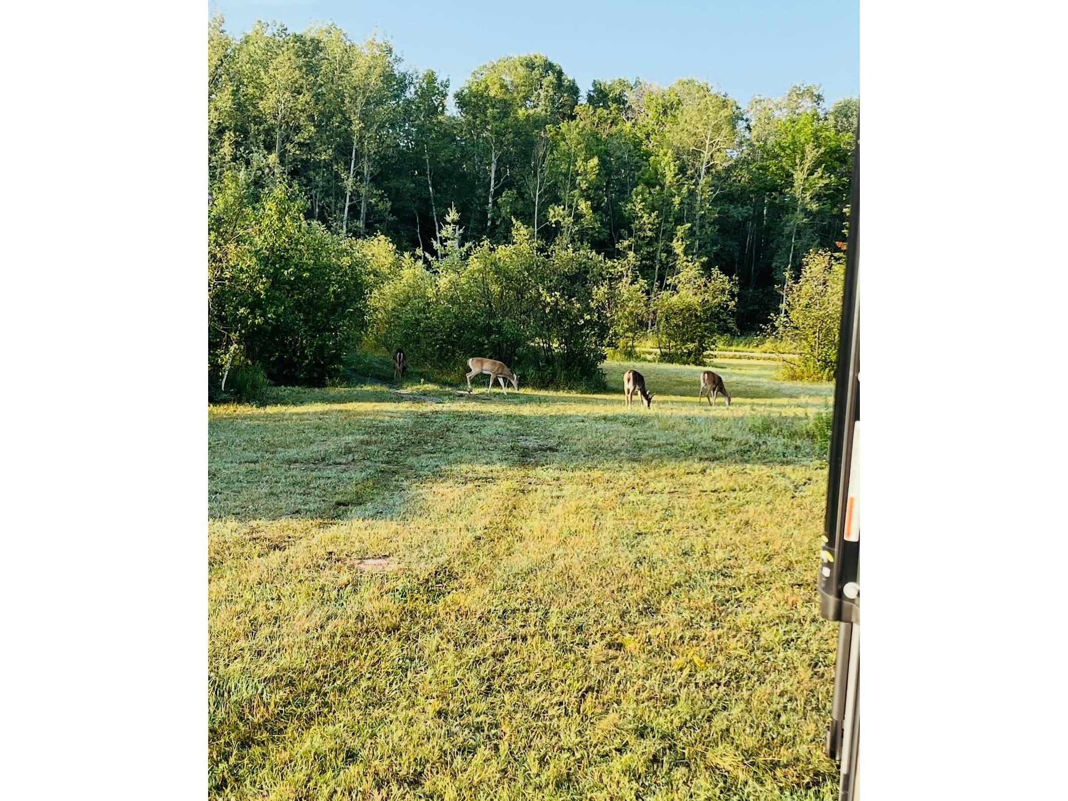 16190 Nicoletti Rd, Herbster, WI, 54844 | MLS: 6120910 | Edina Realty