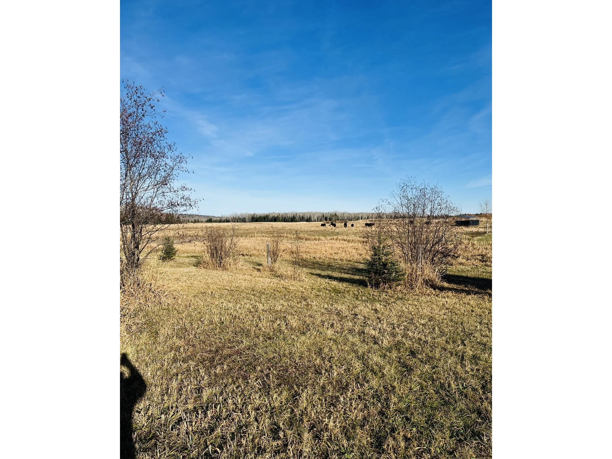 16190 Nicoletti Rd, Herbster, WI, 54844 | MLS: 6120910 | Edina Realty