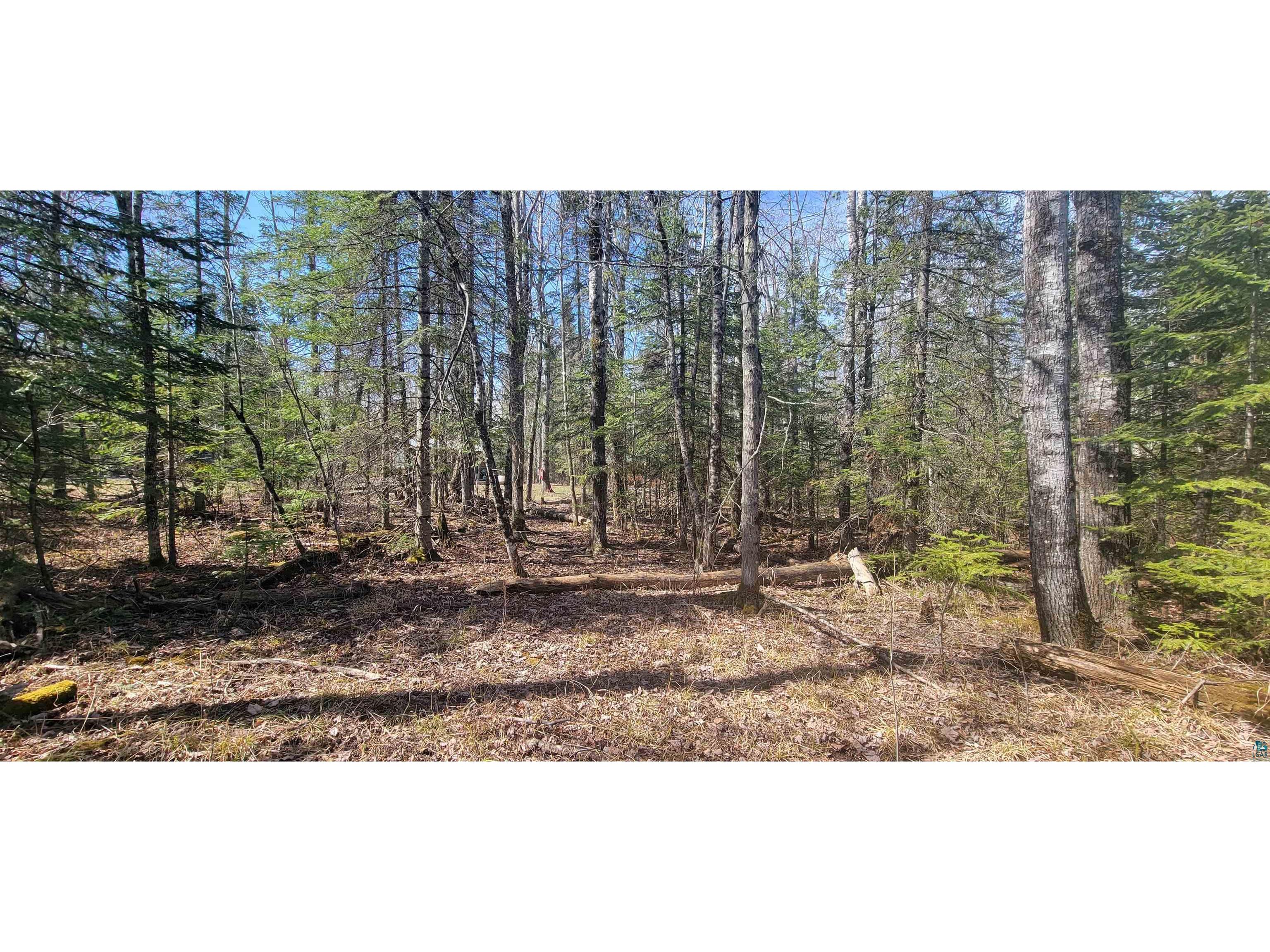 17100 Bark River Rd, Herbster, WI, 54844 | MLS: 6113279 | Edina Realty