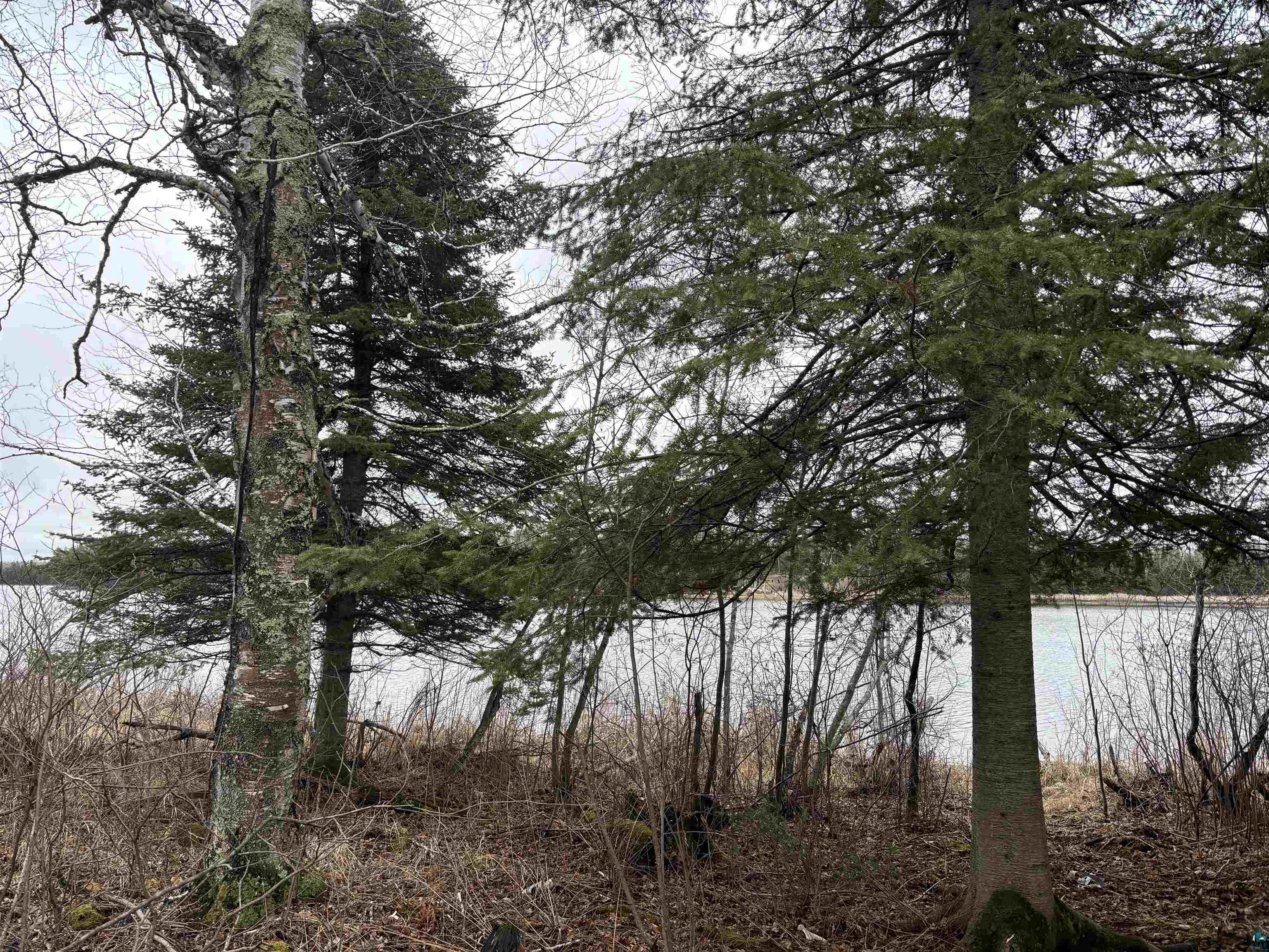 2493 S Branch Tr, Makinen, MN, 55763 | MLS: 6113634 | Edina Realty