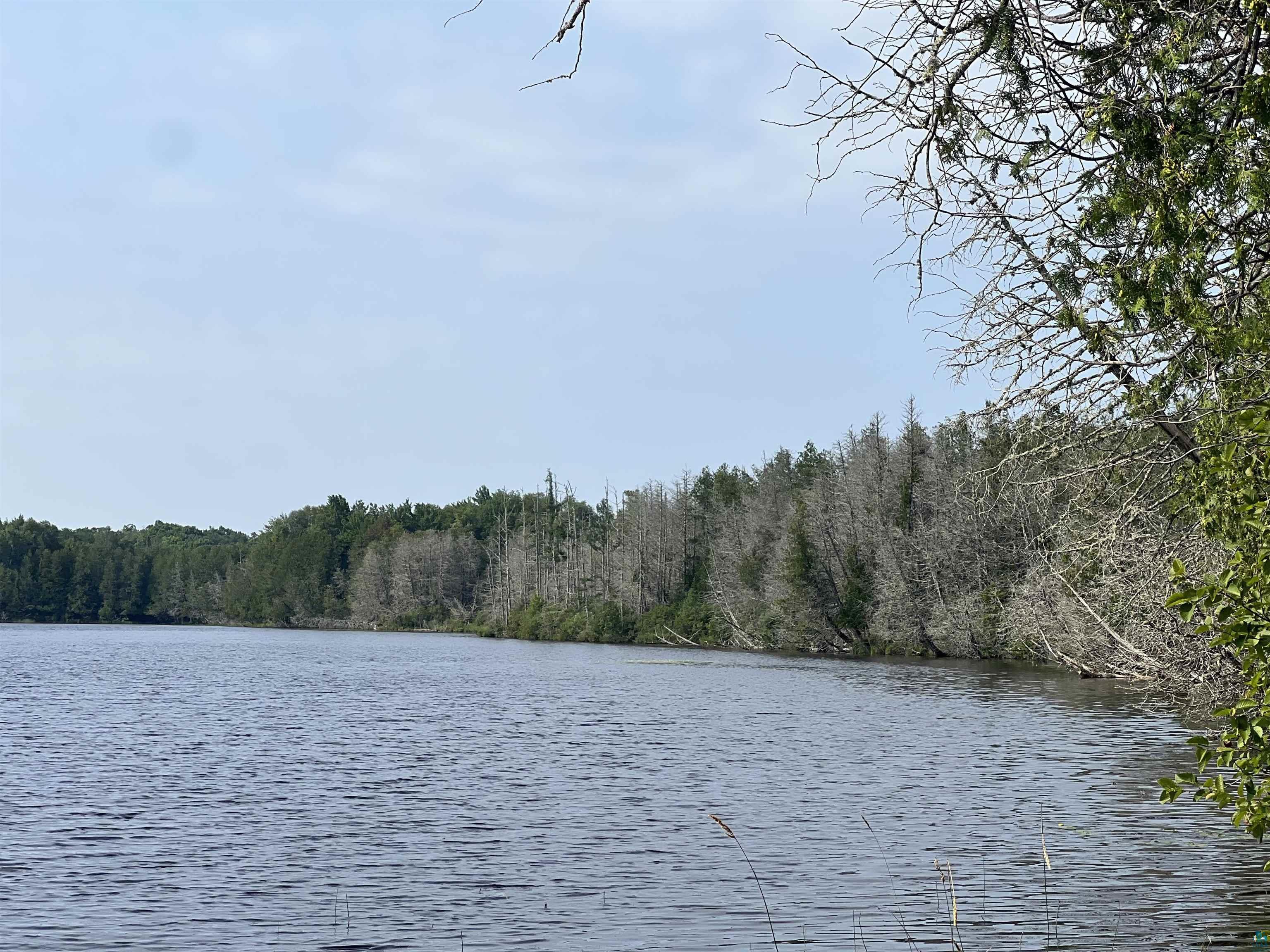 26336 Forest Rd 181, Glidden, WI, 54527 | MLS: 6114861 | Edina Realty