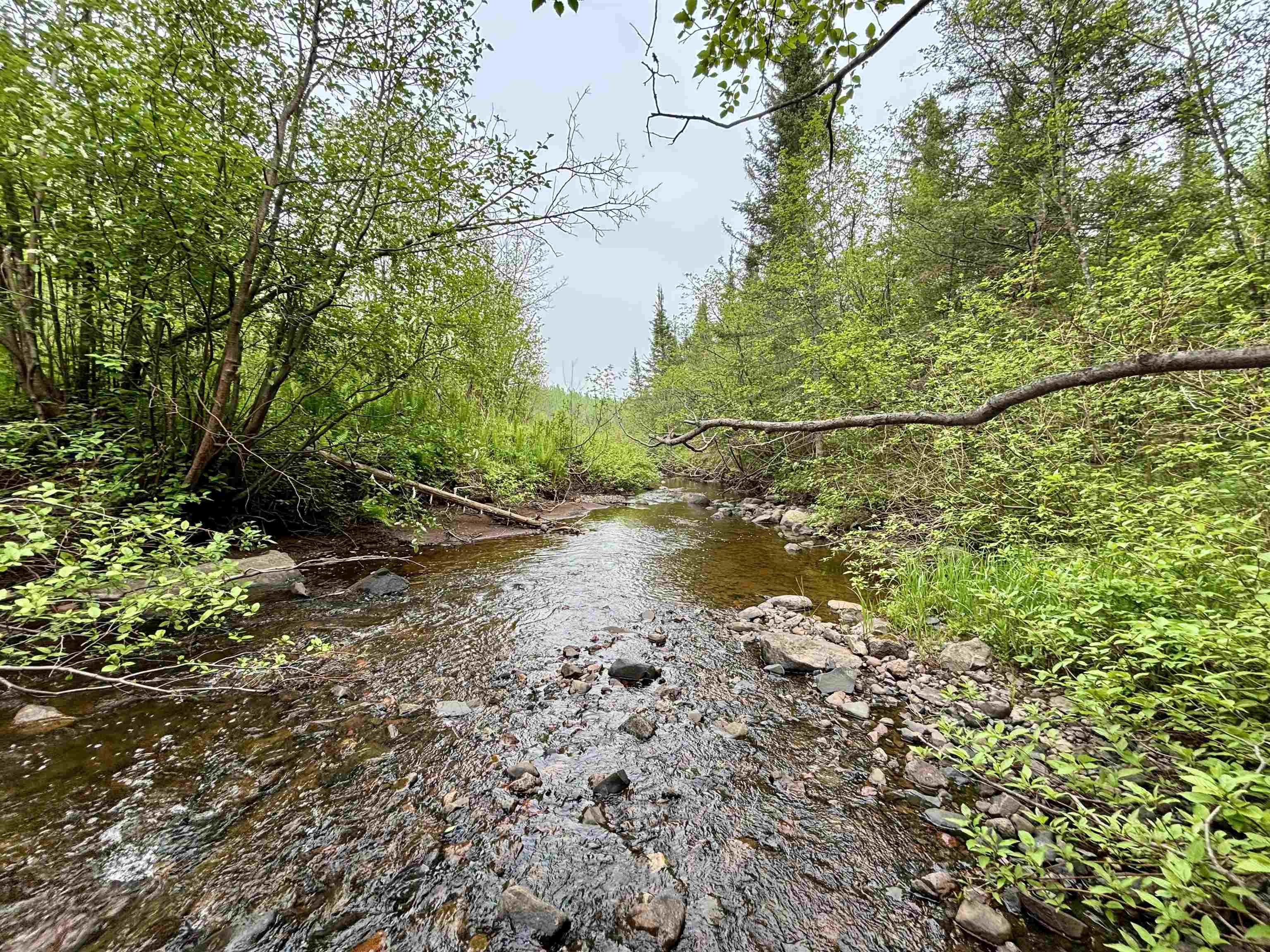 3378 Rock Rd, Silver Bay, MN, 55614 | MLS: 6119932 | Edina Realty