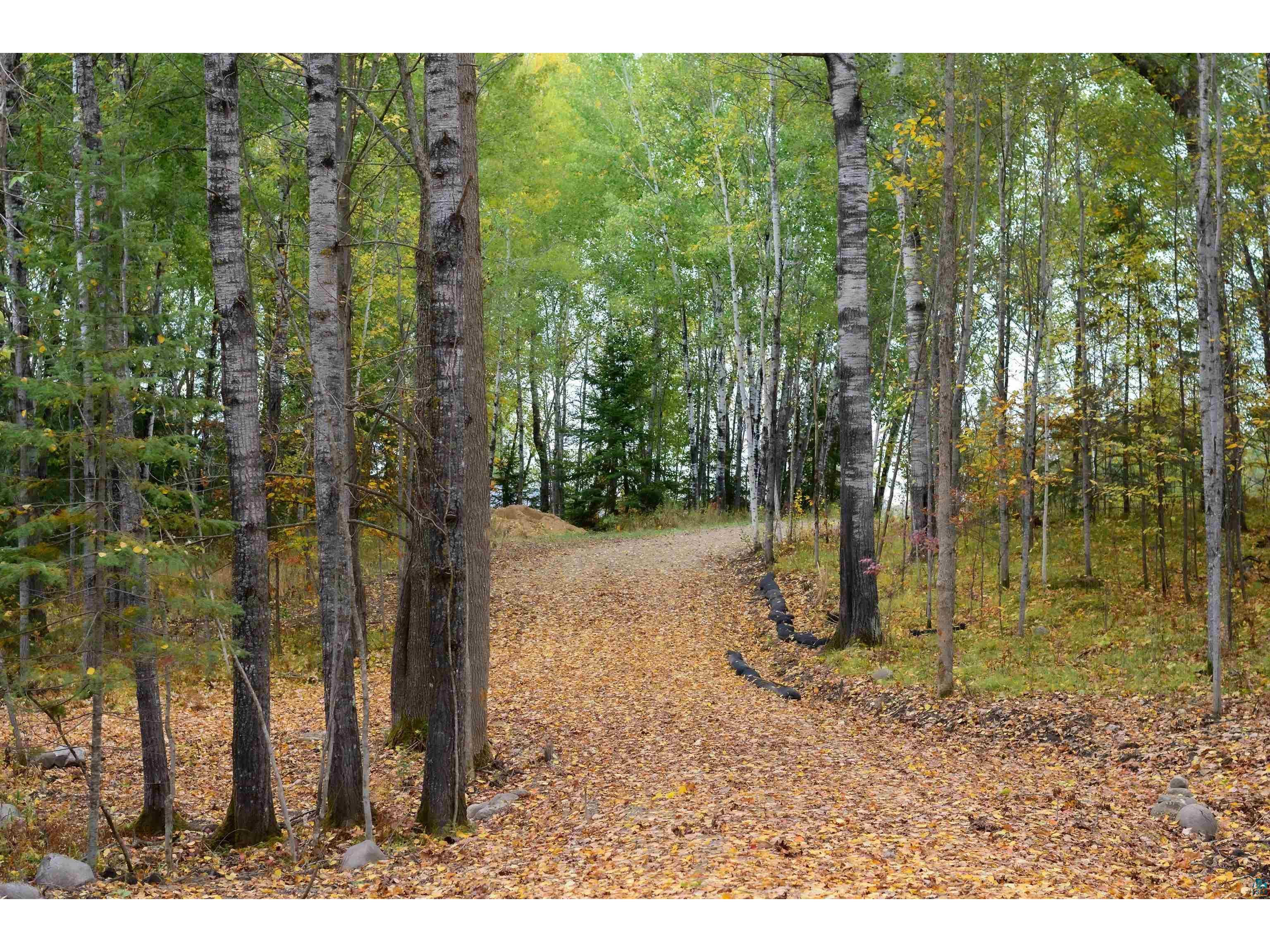 35290 Red Pine Rd, Deer River, MN, 56636 | MLS: 6113443 | Edina Realty