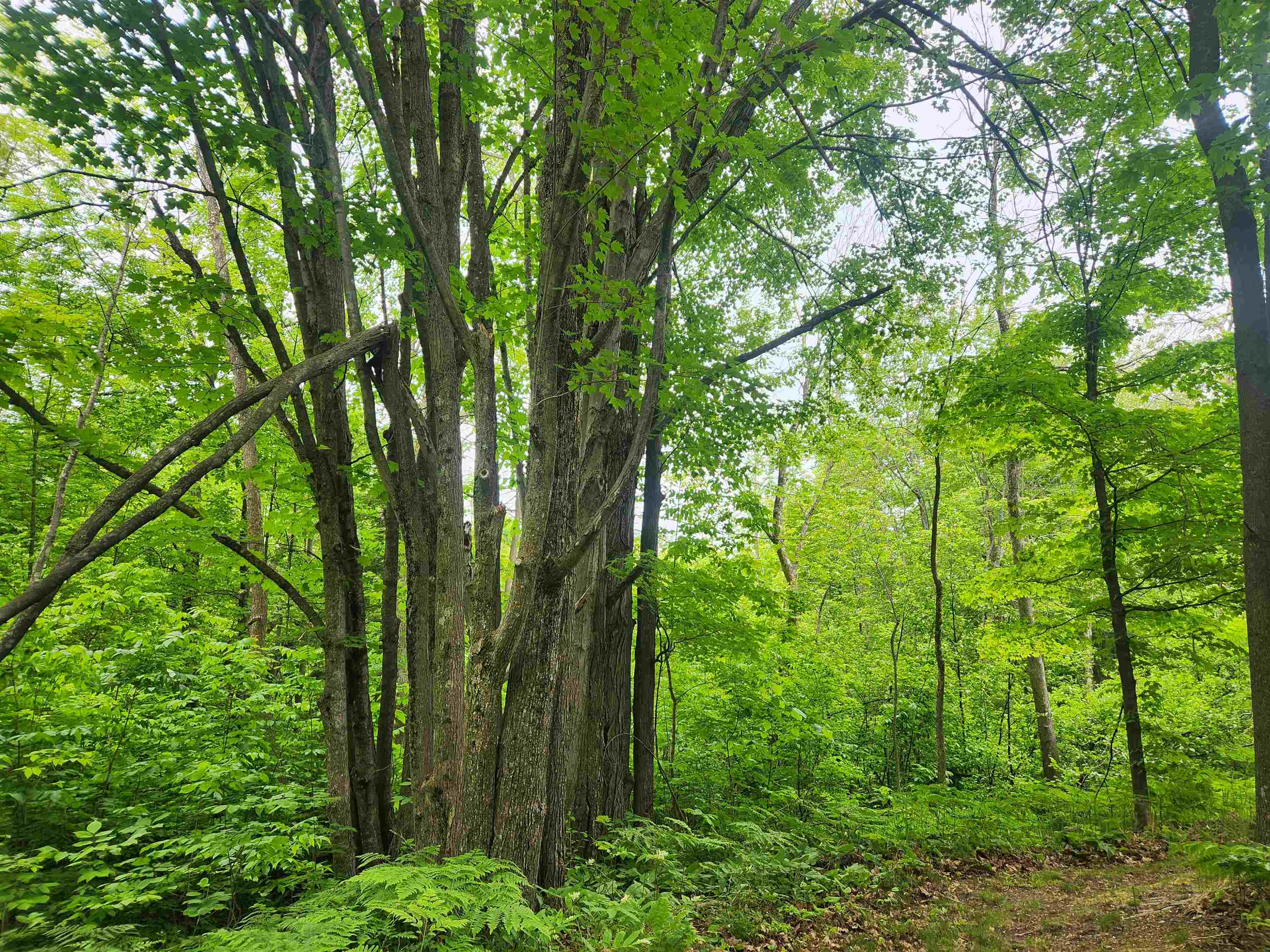 36805 N County Hwy J, Bayfield, WI, 54814 | MLS: 6120088 | Edina Realty