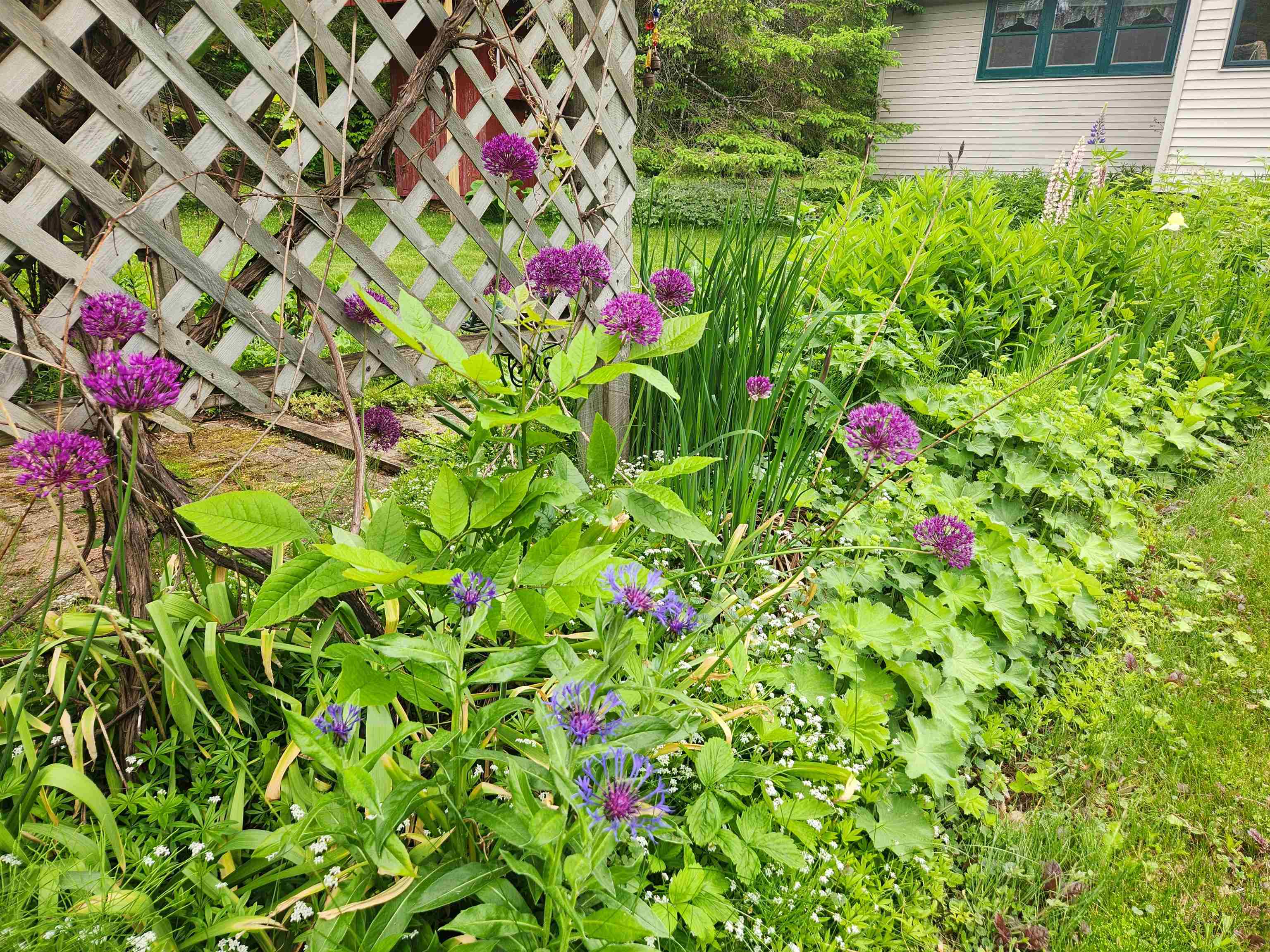 36805 N County Hwy J, Bayfield, WI, 54814 | MLS: 6120088 | Edina Realty