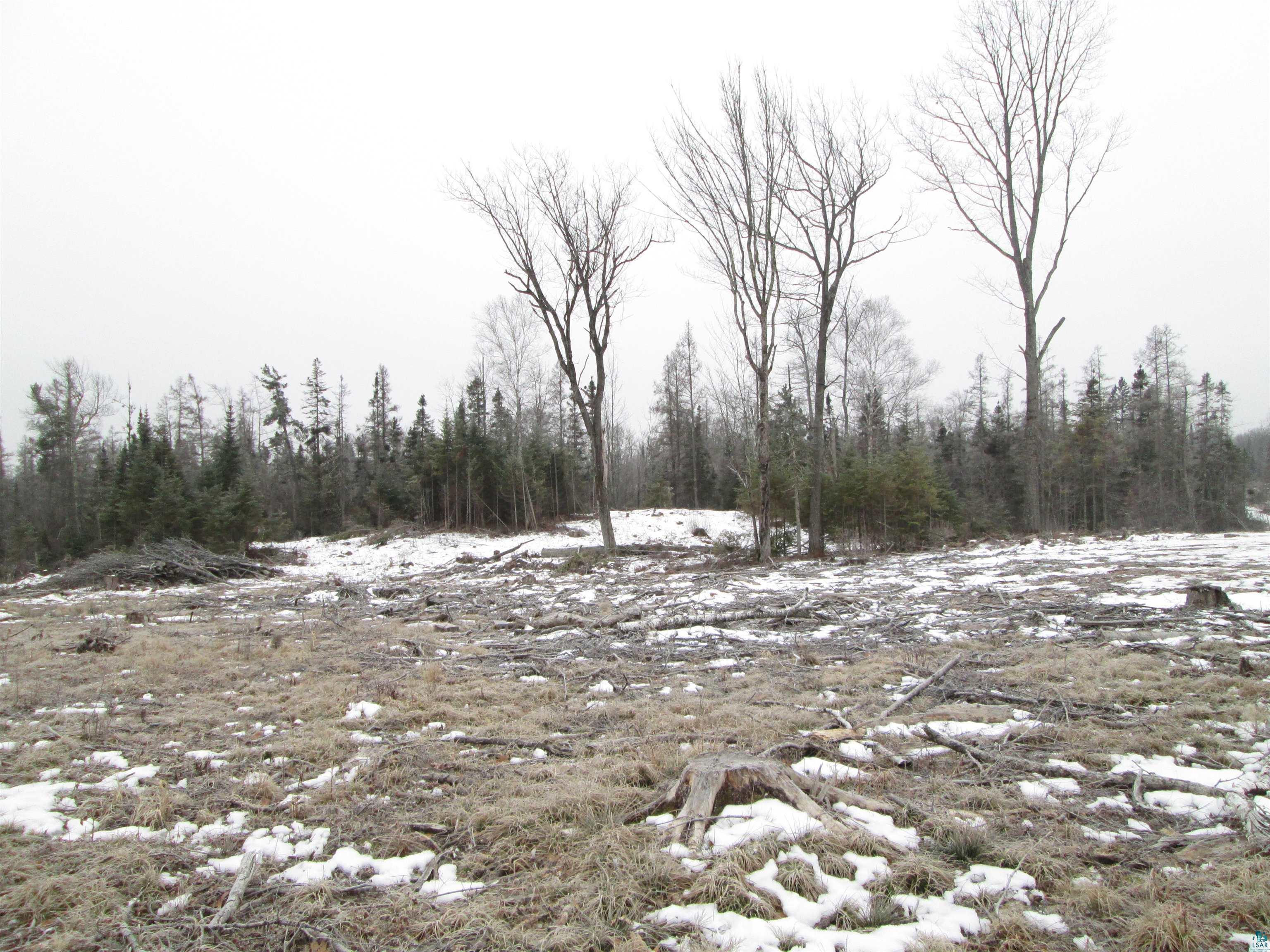 40 acre Lot #3 County Rd L, Hawthorne, WI, 54874 | MLS: 6112150 | Edina ...