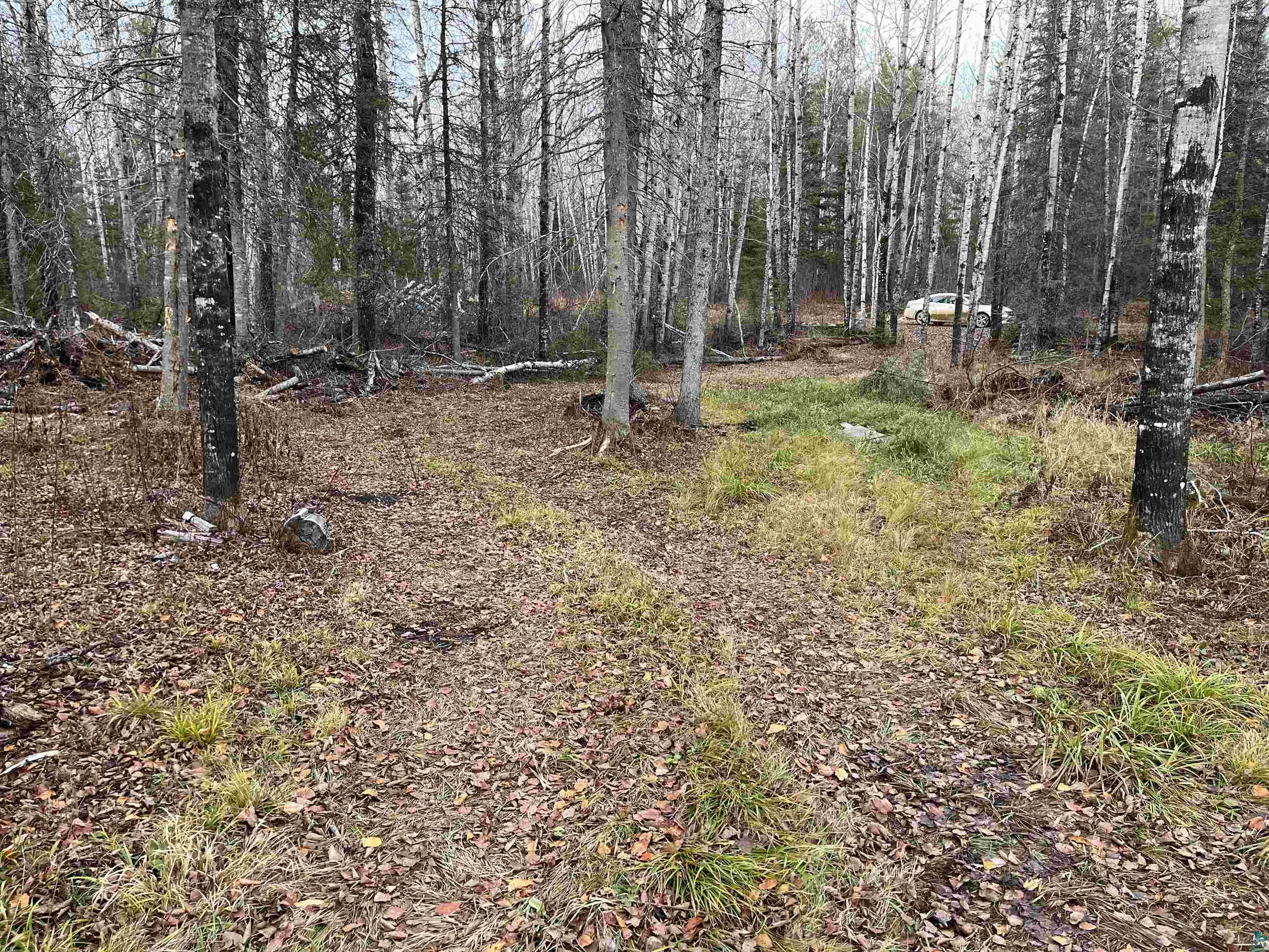 4002 Shiloh Tr, Ely, MN, 55771 | MLS: 6122610 | Edina Realty