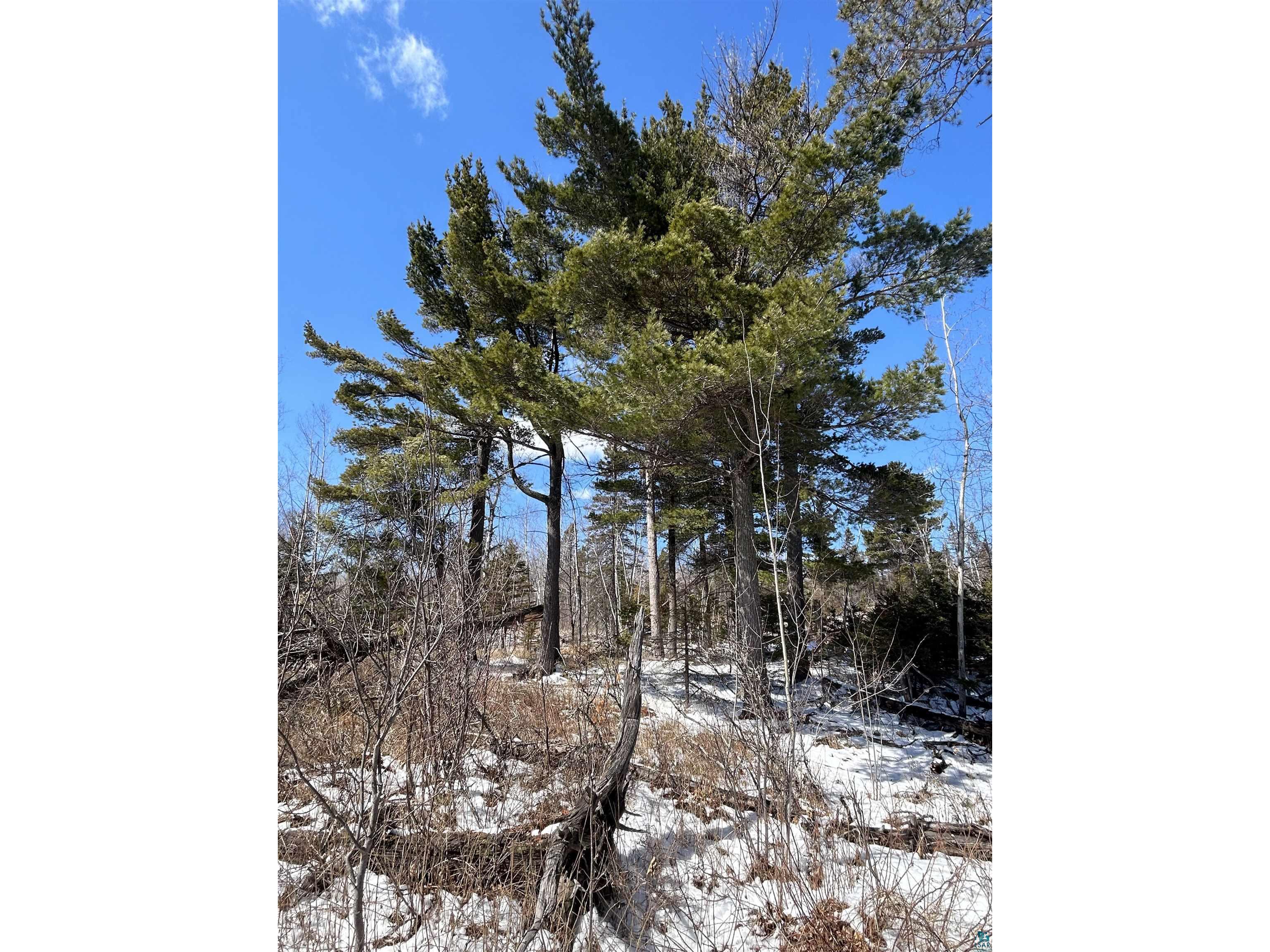 4375 Wood Ridge Dr, Beaver Bay, MN, 55601 | MLS: 6118606 | Edina Realty