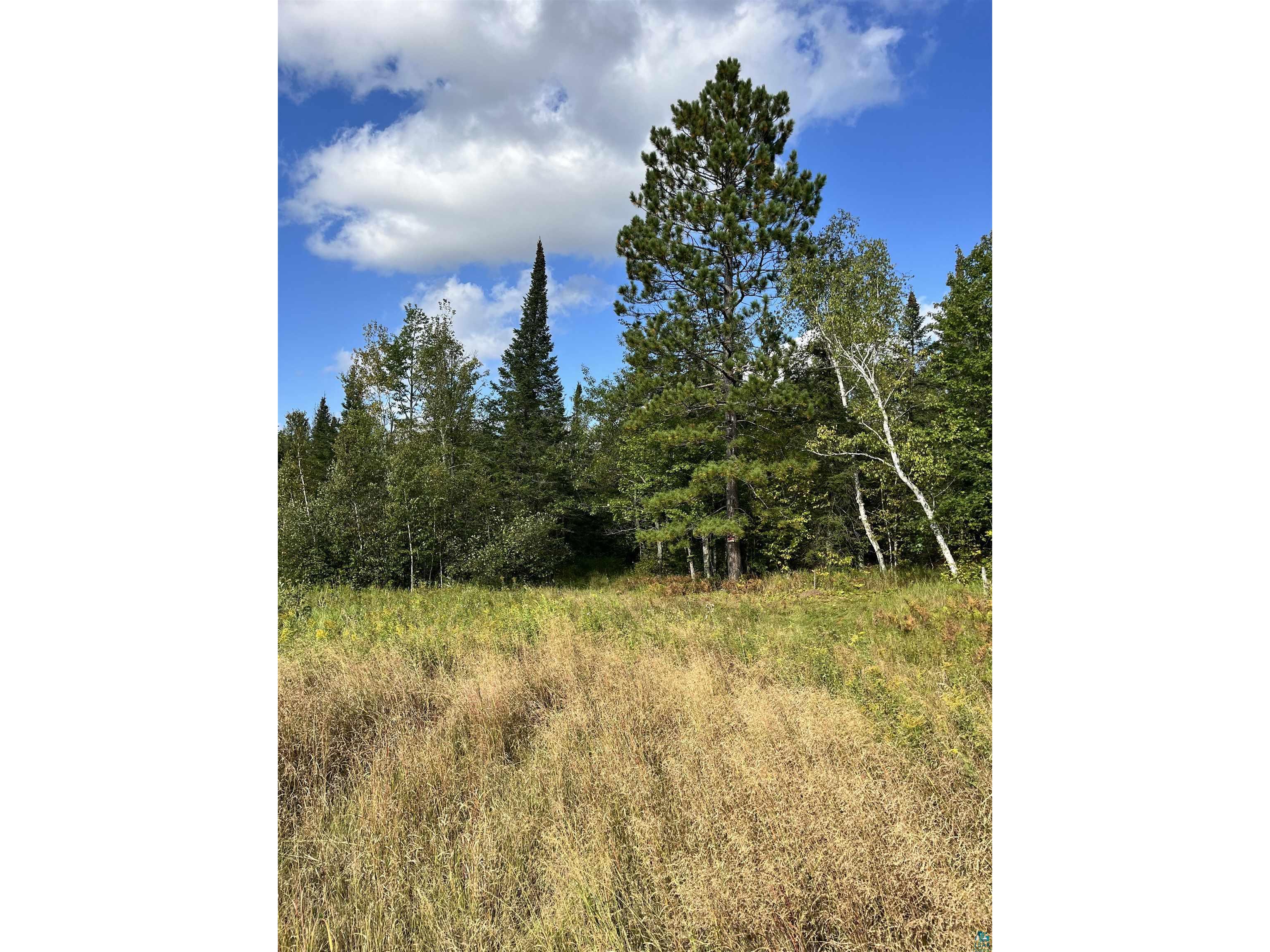 4XXX Hwy 73, Floodwood, MN, 55736 | MLS: 6115891 | Edina Realty