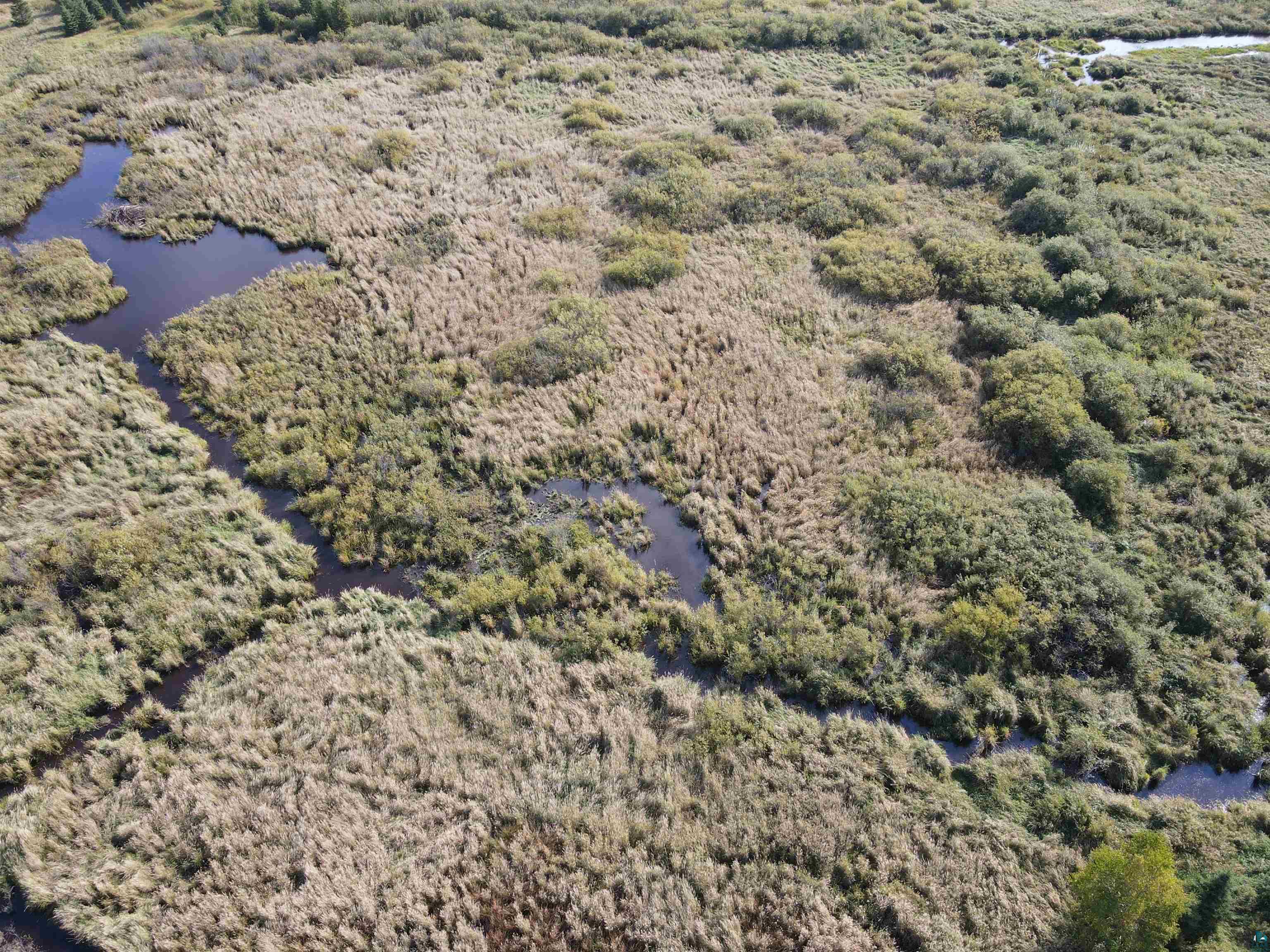 5525 Argo Rd, Cotton, MN, 55724 | MLS: 6116441 | Edina Realty