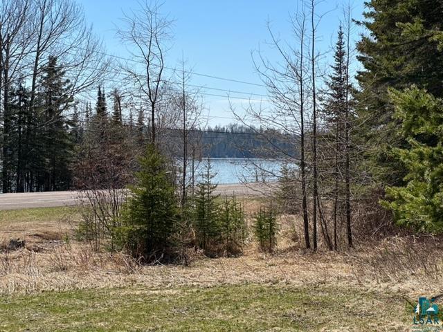 5541 Hwy 61 E, Hovland, MN, 55606 | MLS: 6112291 | Edina Realty