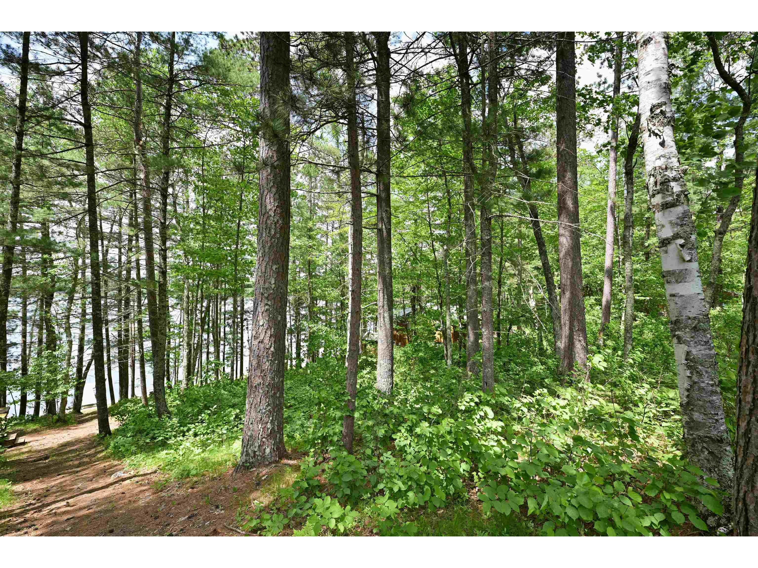 5645 Kelly Lake Rd, Barnes, WI, 54873 | MLS: 6120220 | Edina Realty