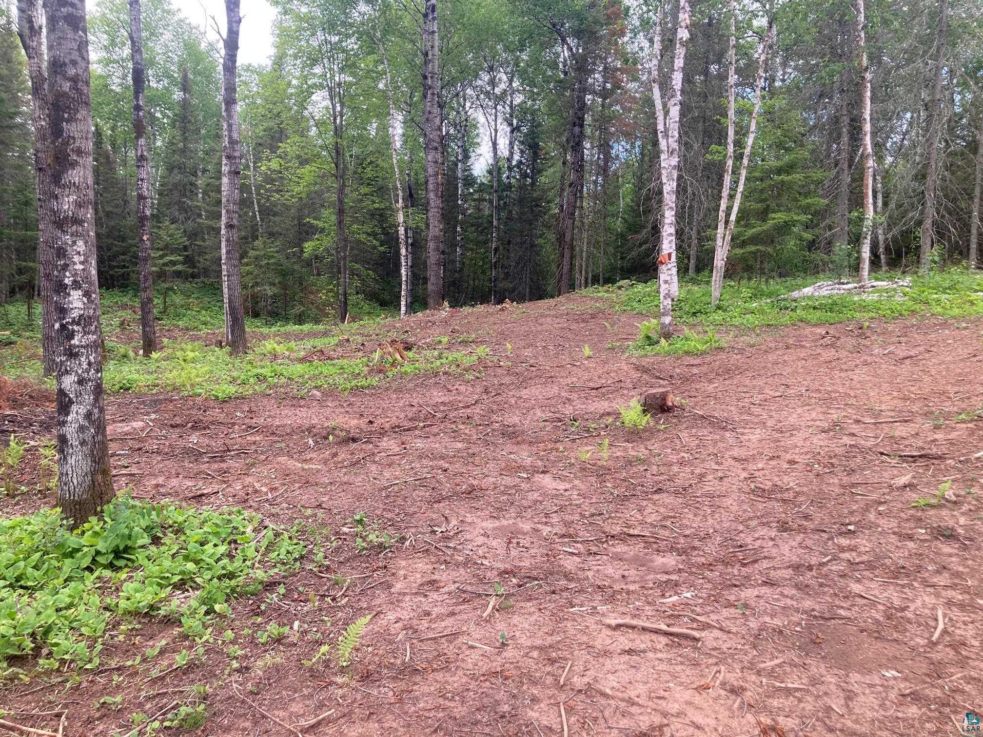 584x Howard Gnesen Rd, Rice Lake, MN, 55803 | MLS: 6114591 | Edina Realty