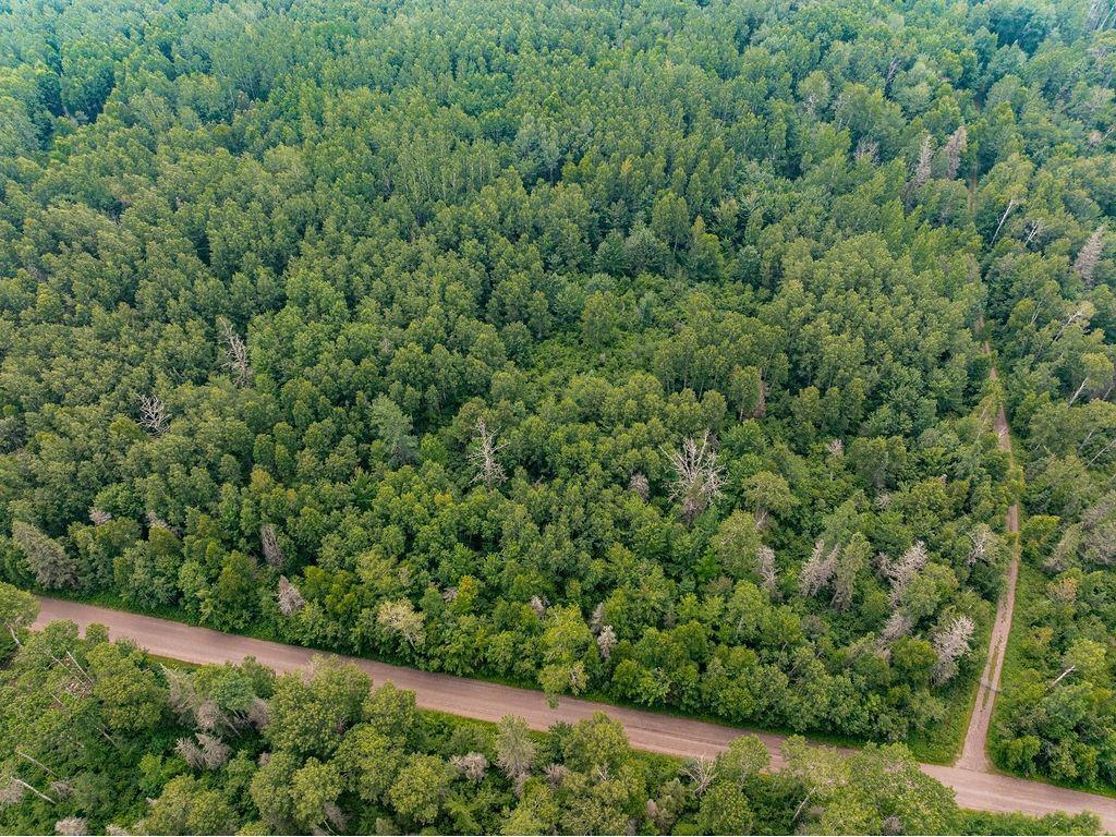 6081 Murphy Lake Rd, Two Harbors, MN, 55602 | MLS: 6120966 | Edina Realty