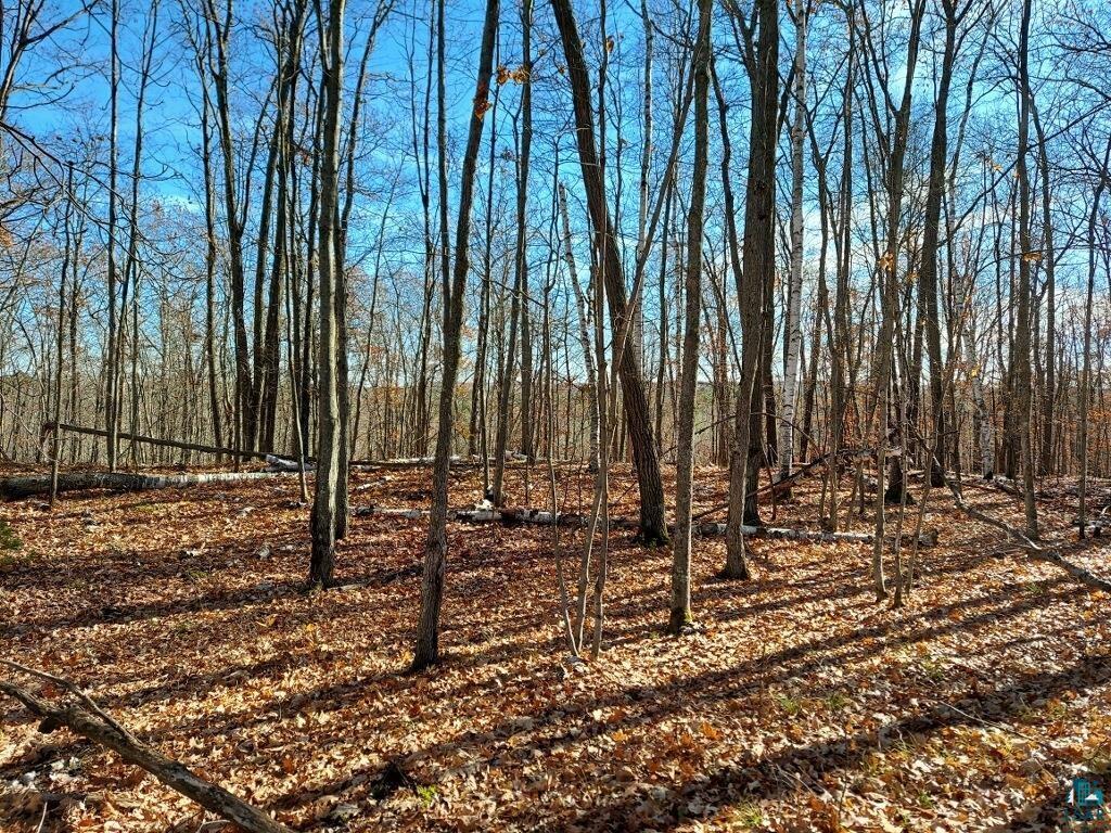 64445 E Bass Lake Rd, Iron River, WI, 54847 | MLS: 6117184 | Edina Realty