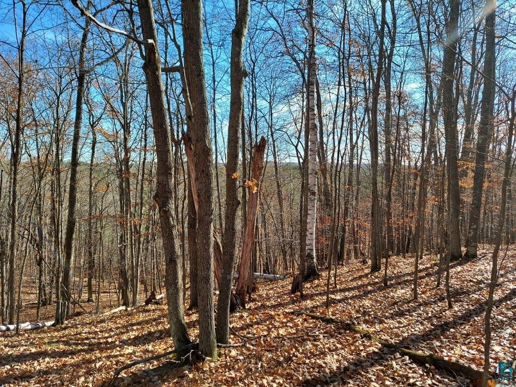 64445 E Bass Lake Rd, Iron River, WI, 54847 | MLS: 6117184 | Edina Realty