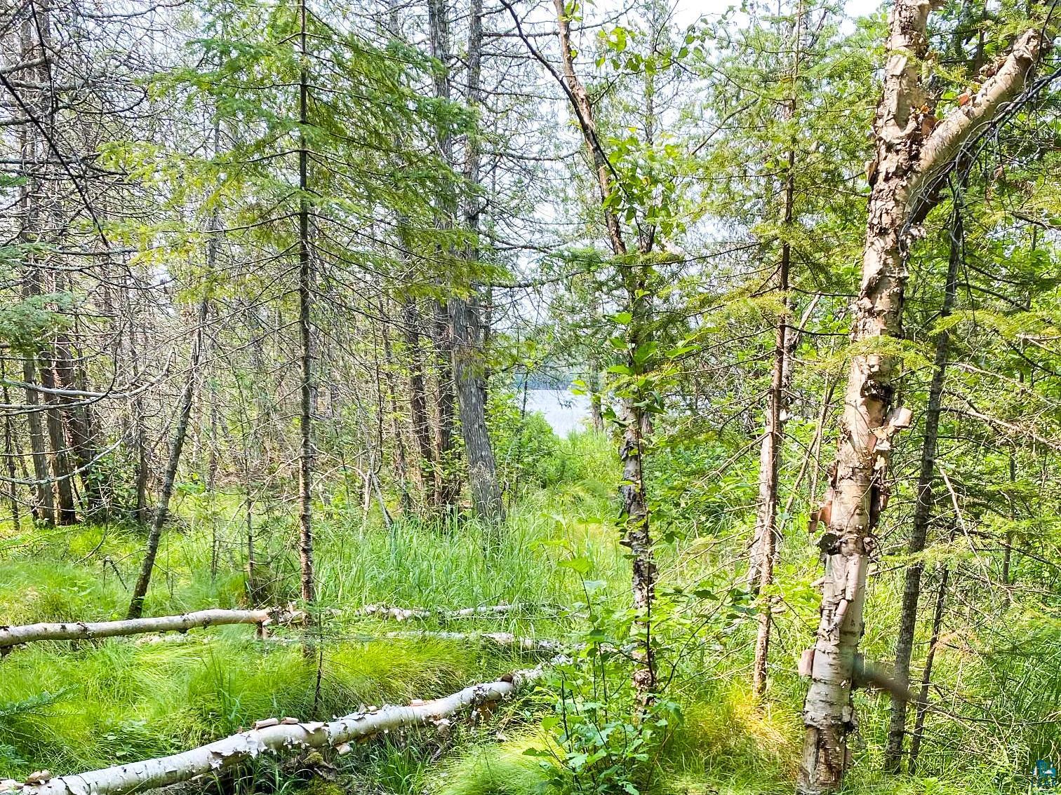 6X Wilderness Tr, Hovland, MN, 55606 | MLS: 6113529 | Edina Realty