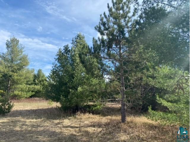 75XX S County Rd P, Lake Nebagamon, WI, 54849 | MLS: 6120712 | Edina Realty