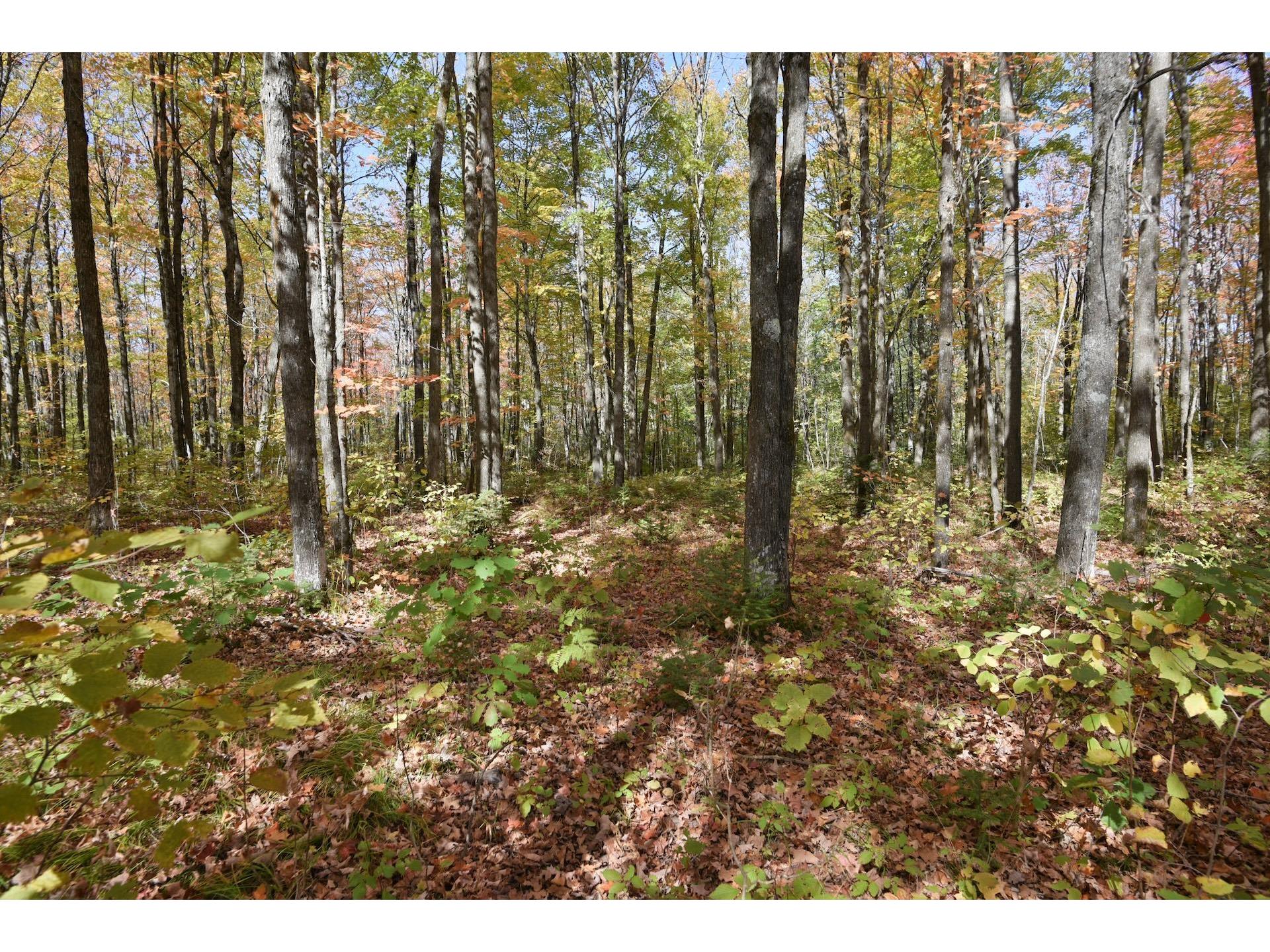 77942 County Line Rd, Mellen, WI, 54546 | MLS: 6122146 | Edina Realty