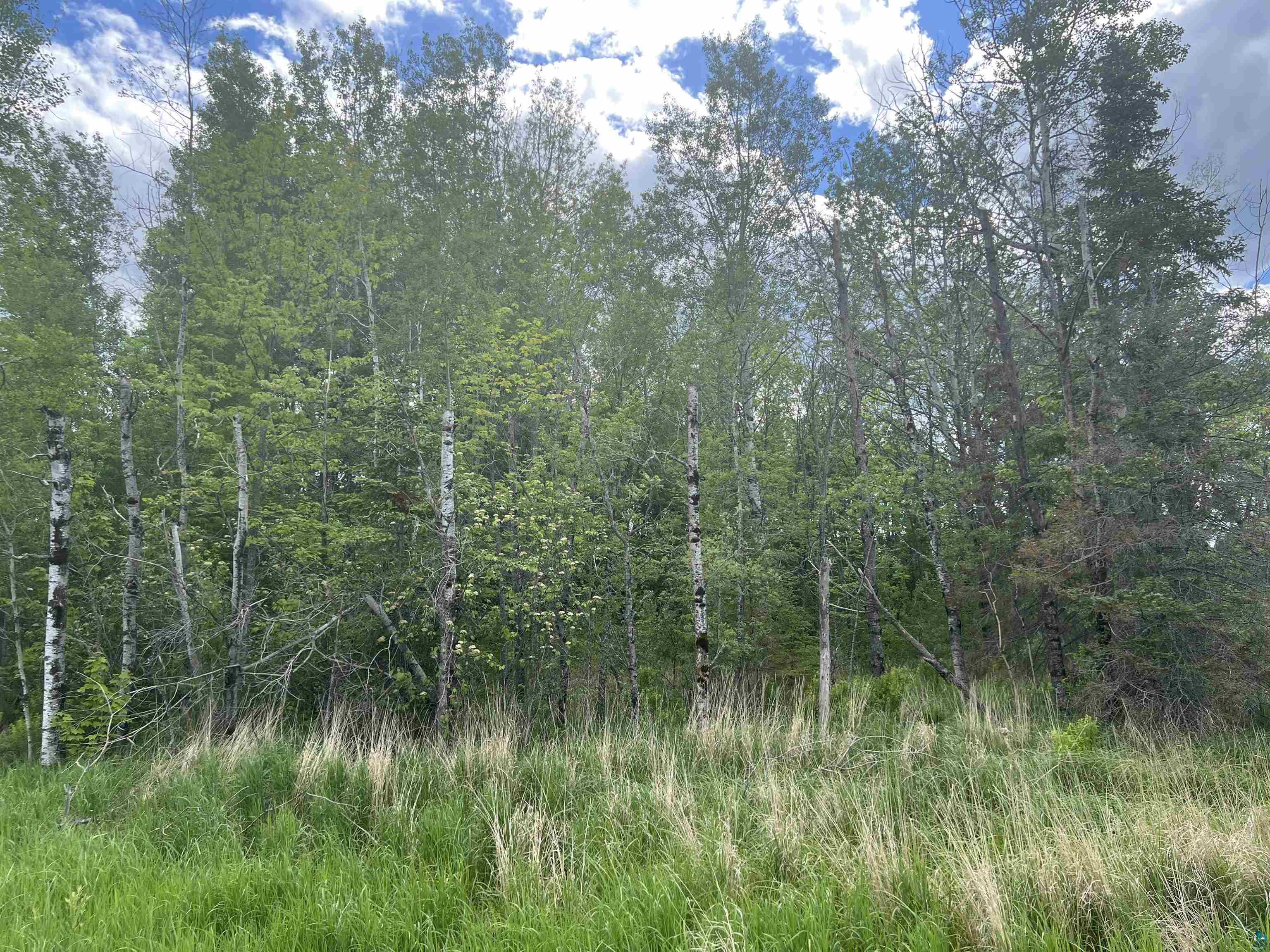 7XXX Kauppi Lake Rd, Cotton, MN, 55724 | MLS: 6114637 | Edina Realty