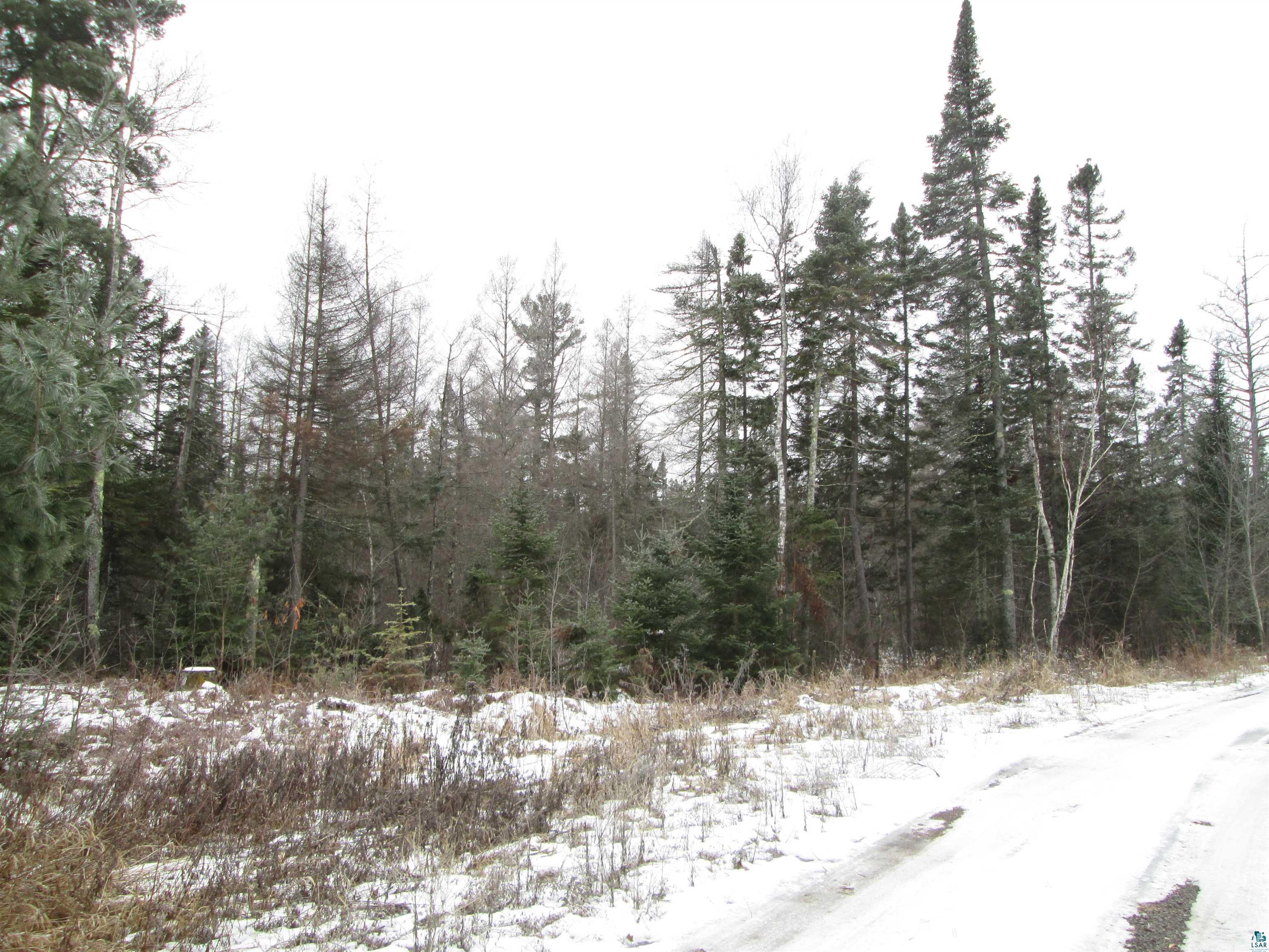 80 acres County Rd L, Hawthorne, WI, 54874 | MLS: 6112536 | Edina Realty