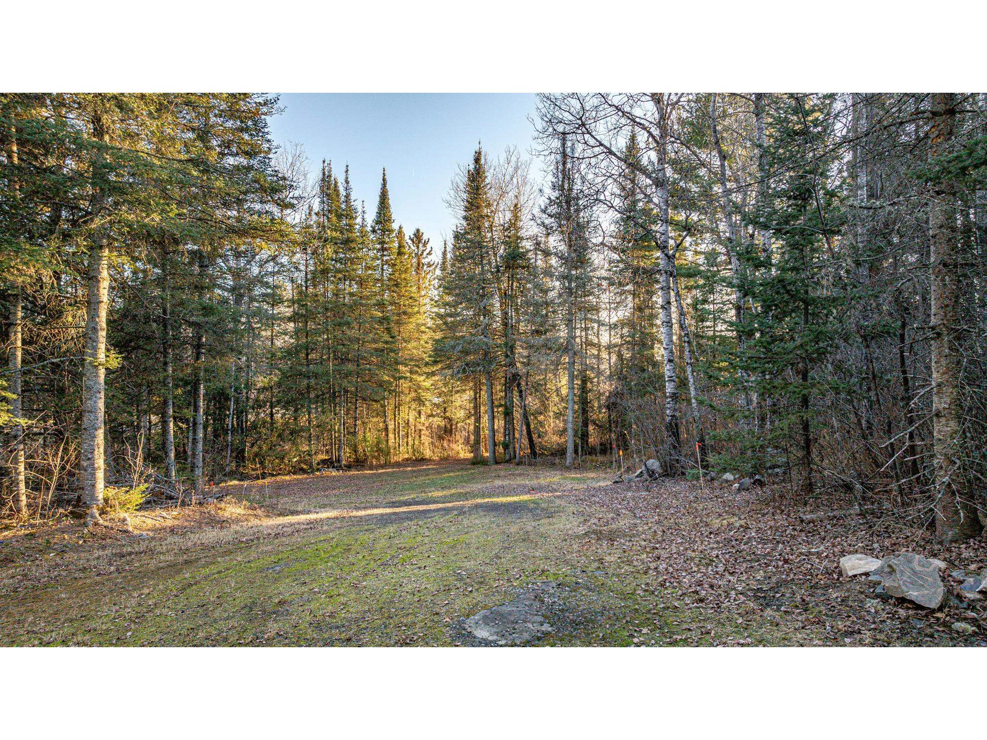 8359 Hwy 135, Embarrass, MN, 55732 | MLS: 6123035 | Edina Realty