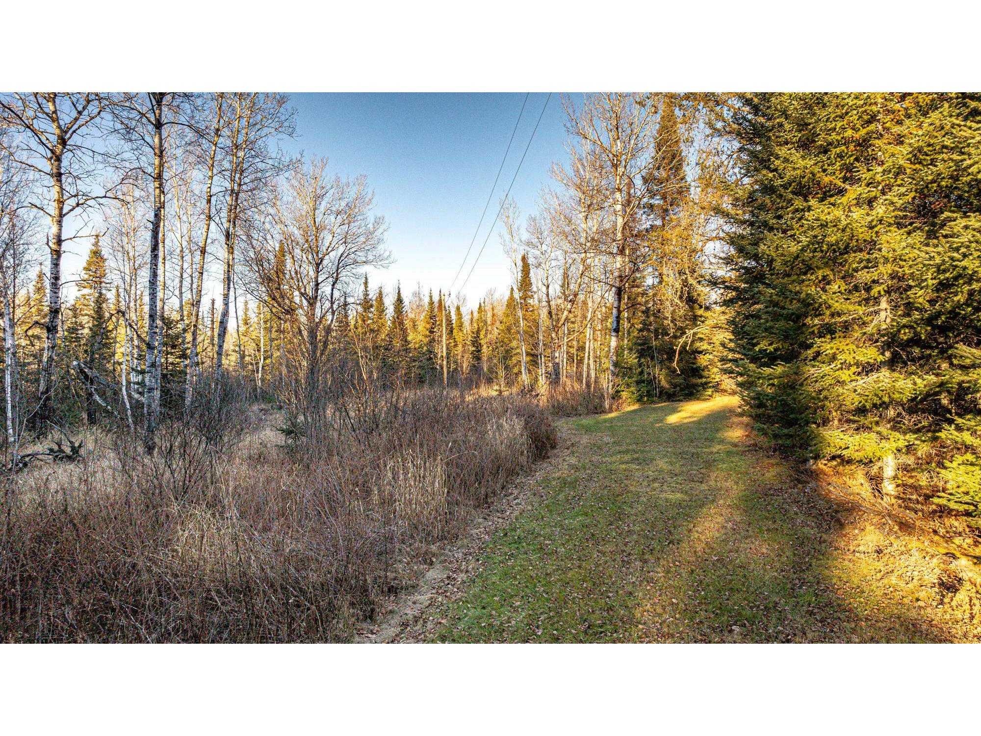 8359 Hwy 135, Embarrass, MN, 55732 | MLS: 6123035 | Edina Realty
