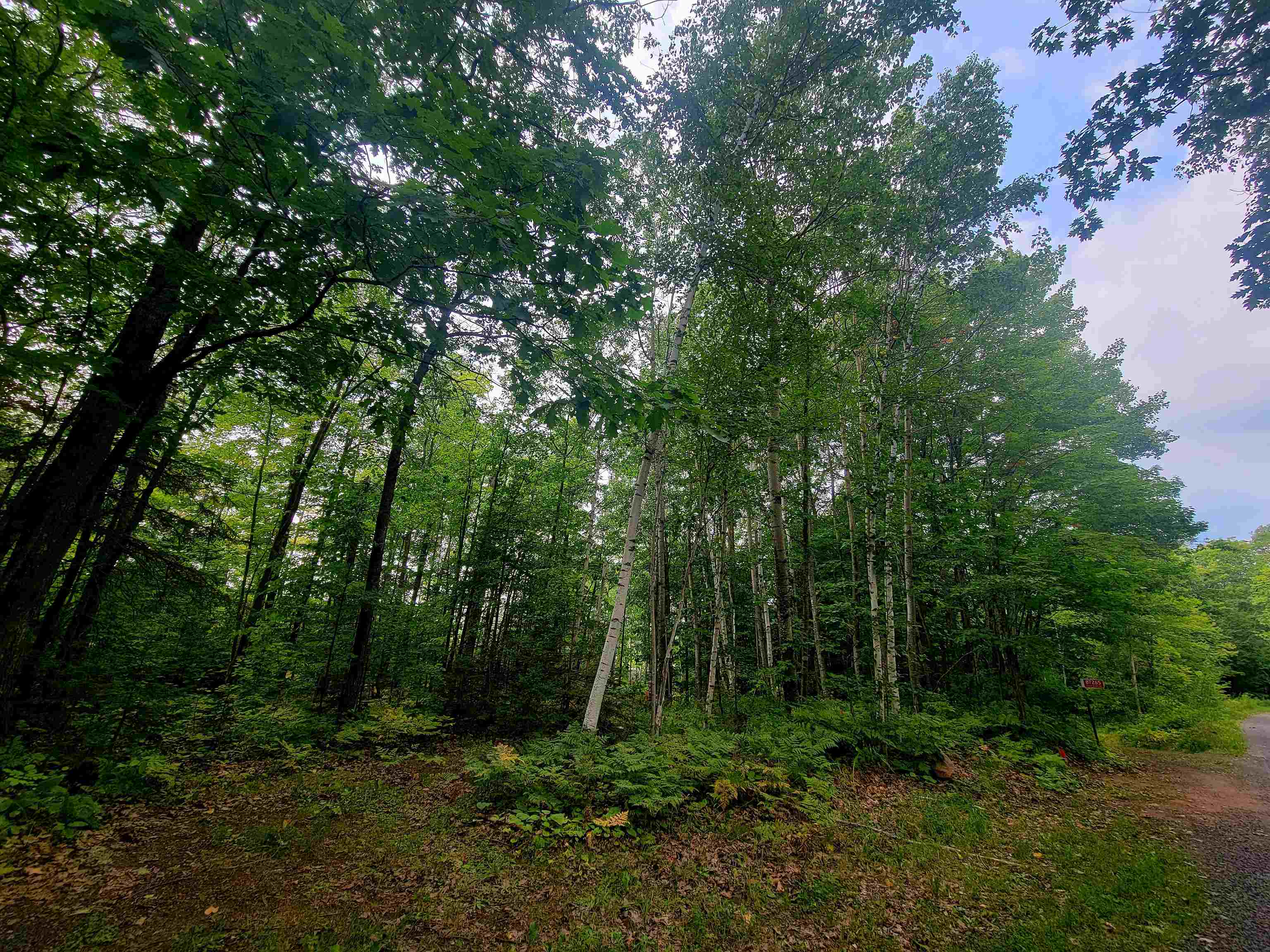 87265 Eagle Bluff Dr, Bayfield, WI, 54814 | MLS: 6121822 | Edina Realty