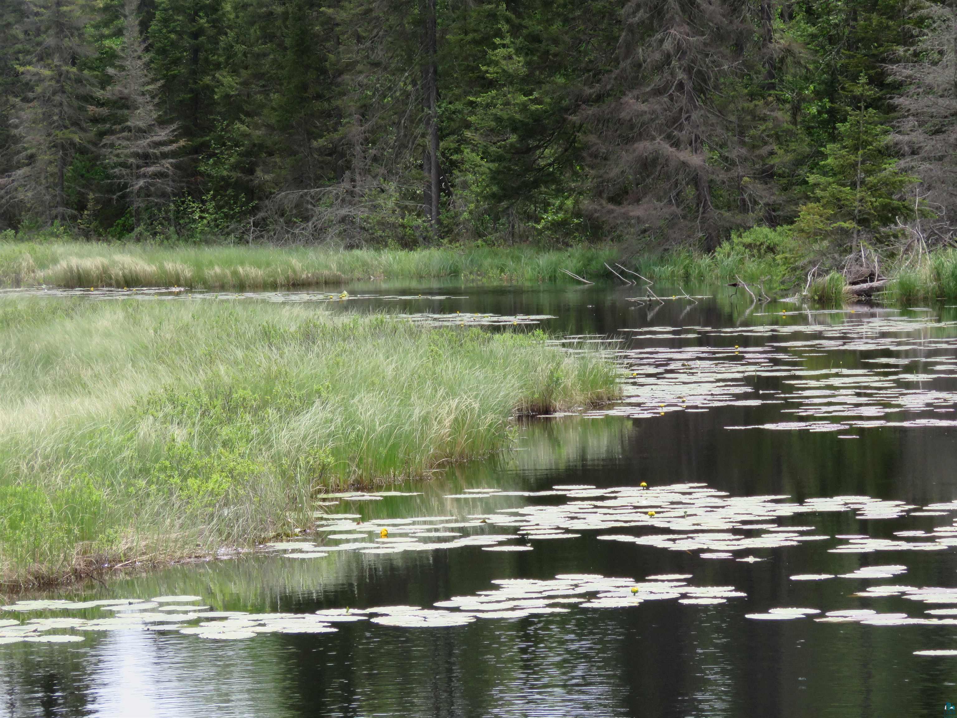 Parcel C W Tucker Lake Rd, Grand Marais, MN, 55604 | MLS: 6114670 ...