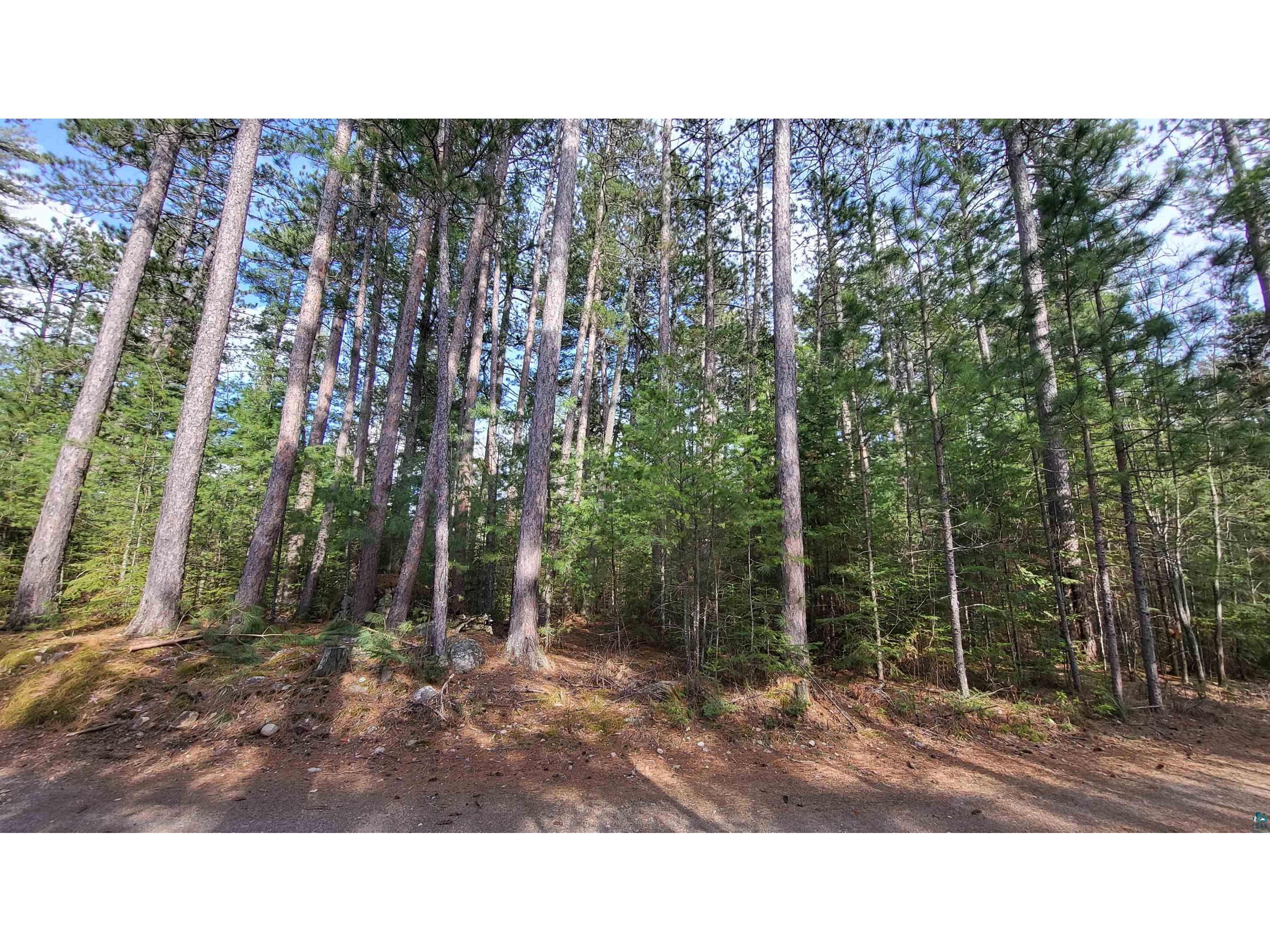 TBD 3.8 Genore Tr, Orr, MN, 55771 | MLS: 6107974 | Edina Realty