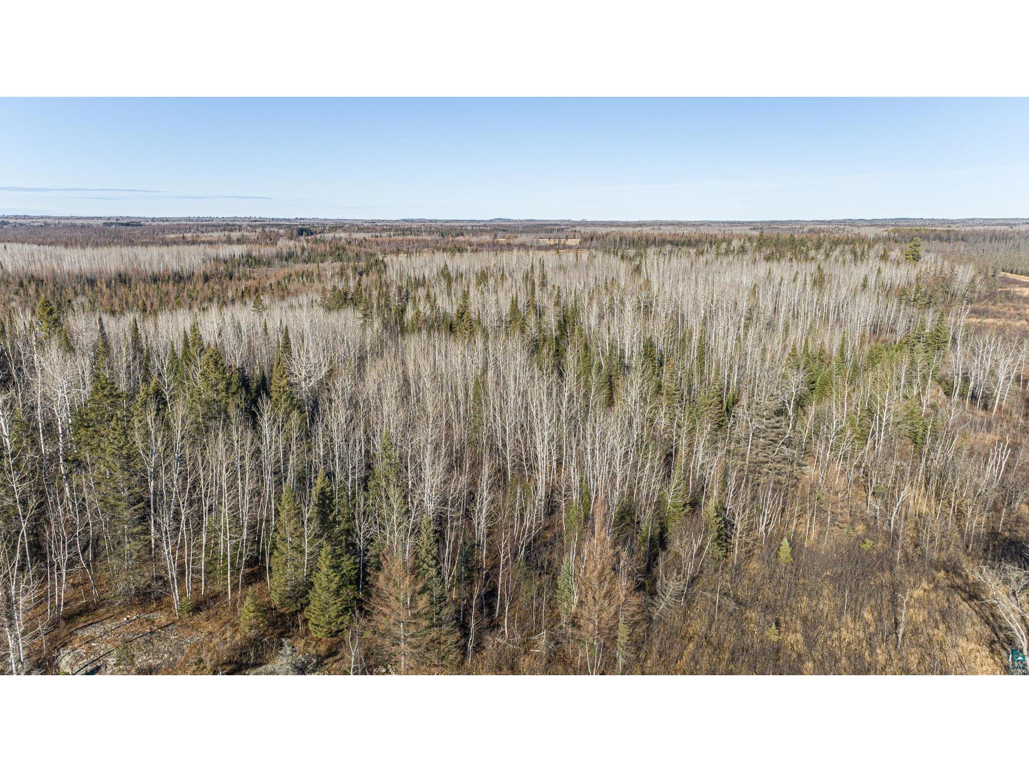 TBD Highway 2, Isabella, MN, 55607 | MLS: 6117016 | Edina Realty