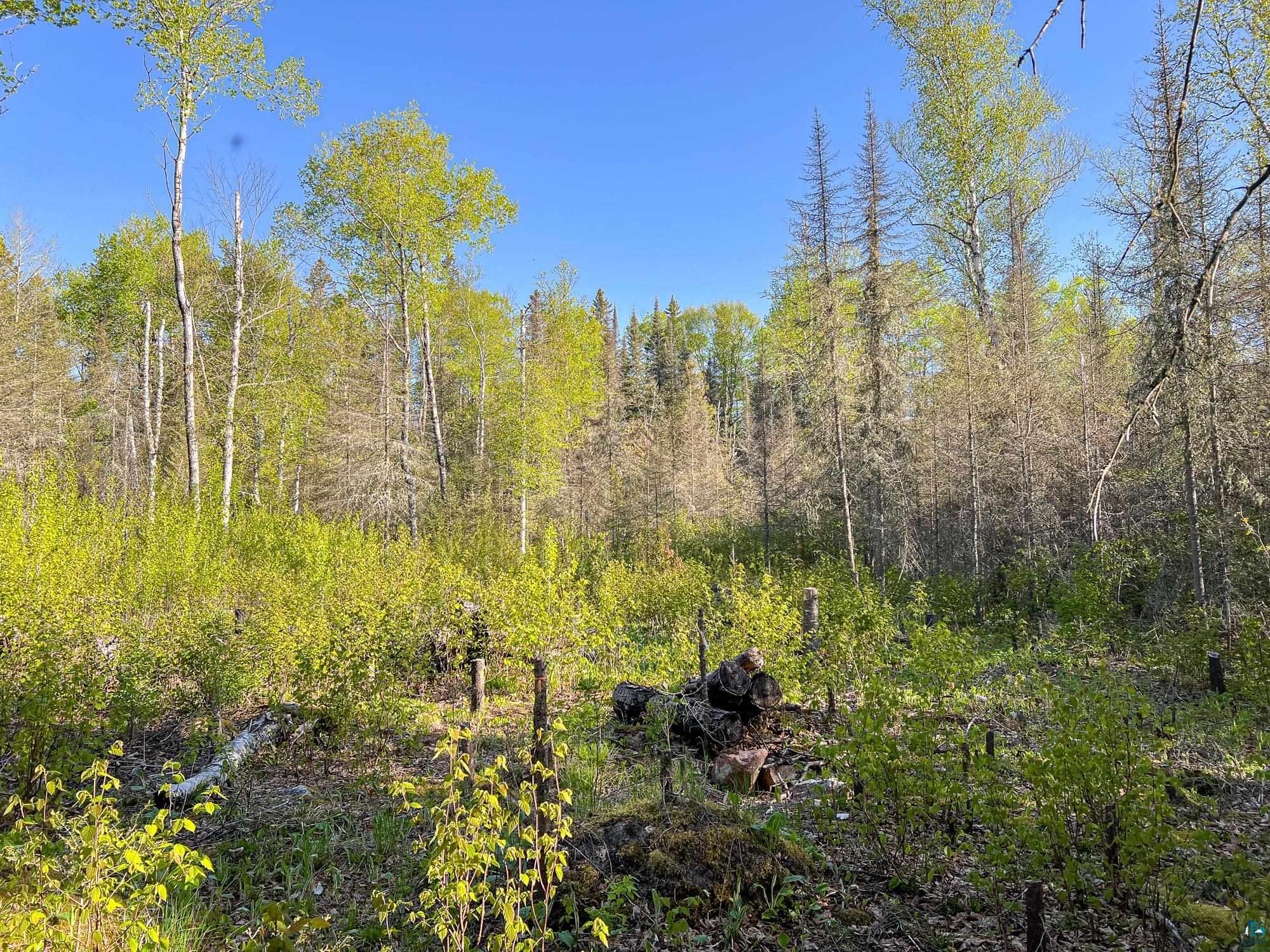 TBD Sister Lake Rd, Finland, MN, 55603 | MLS: 6114041 | Edina Realty