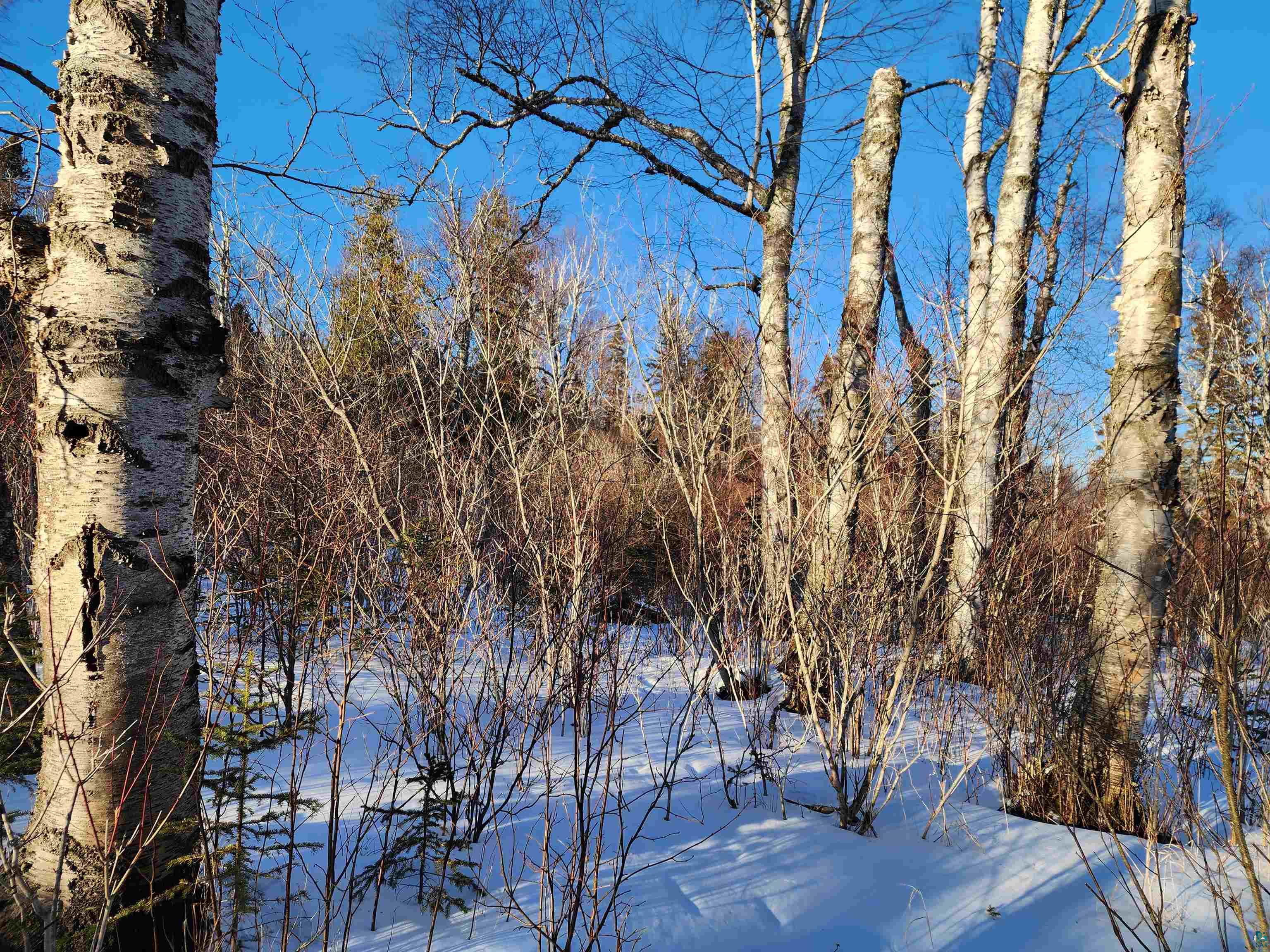 XX-2 Hoaglund Dr, Tofte, MN, 55615 | MLS: 6118070 | Edina Realty