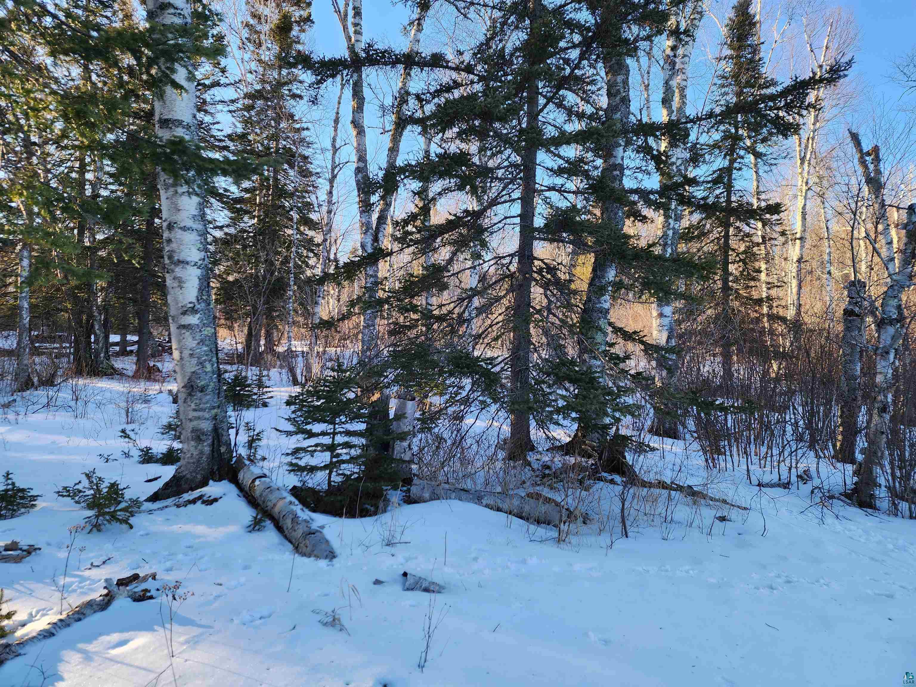 XX-2 Hoaglund Dr, Tofte, MN, 55615 | MLS: 6118070 | Edina Realty