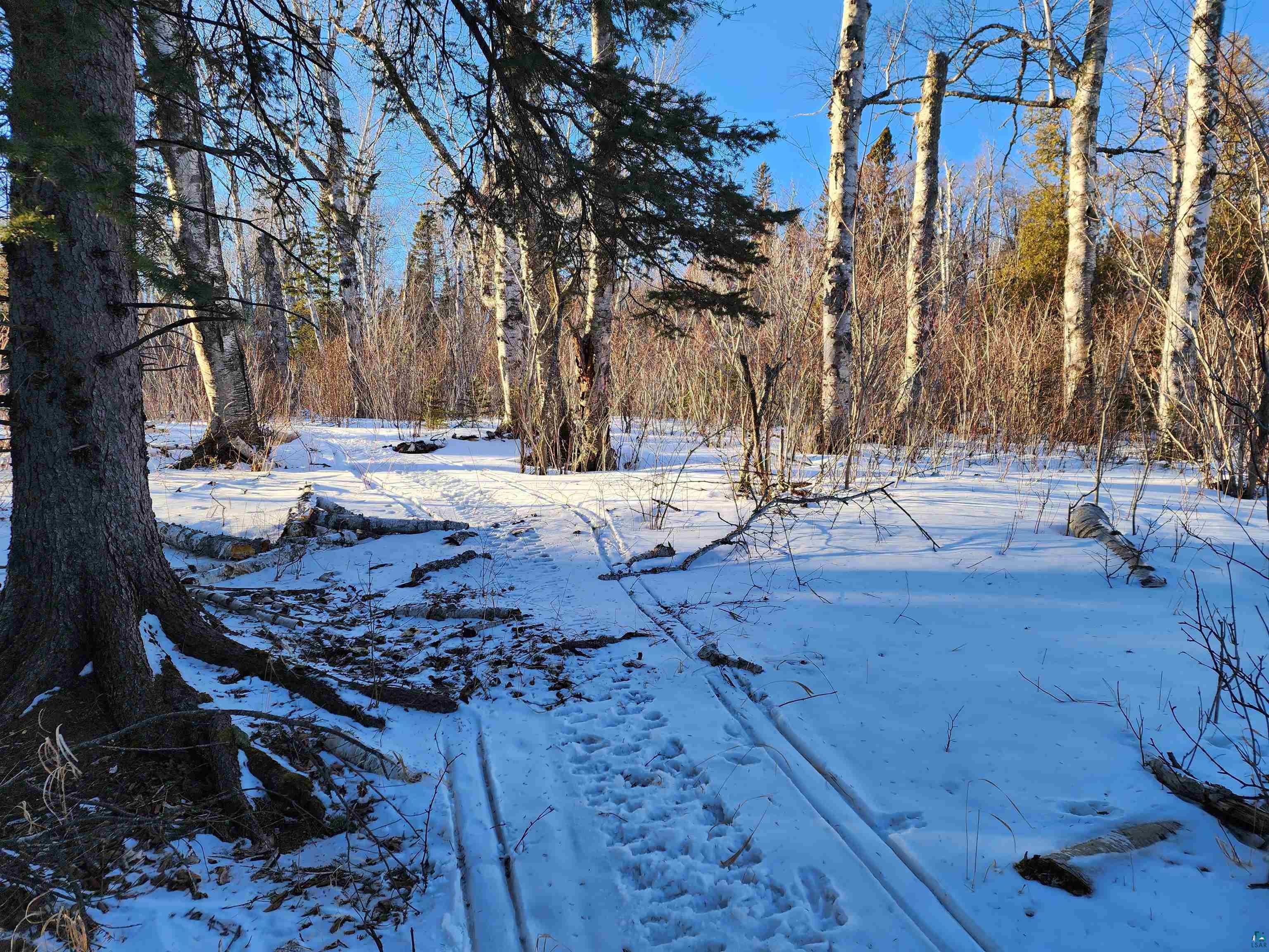 XX-2 Hoaglund Dr, Tofte, MN, 55615 | MLS: 6118070 | Edina Realty